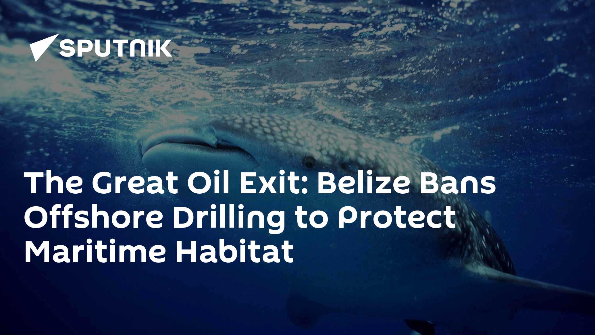 The Great Oil Exit: Belize Bans Offshore Drilling to Protect Maritime ...