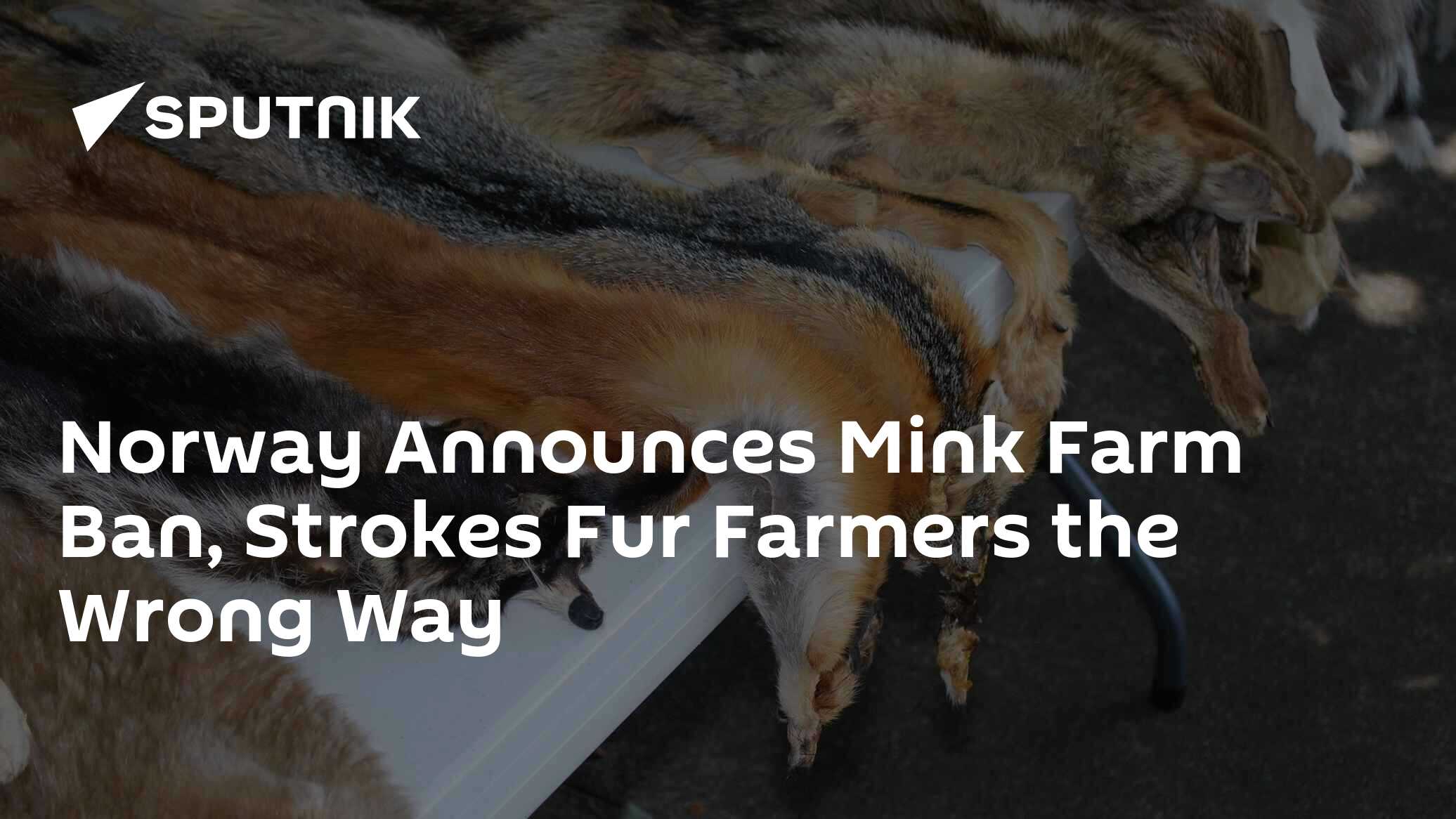 Norway Announces Mink Farm Ban, Strokes Fur Farmers the Wrong Way - 16. ...