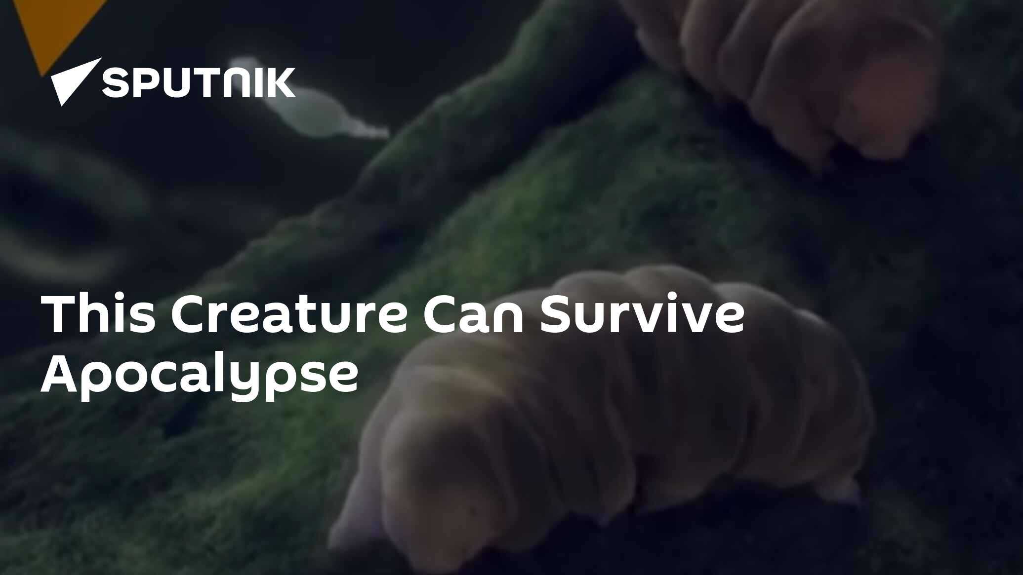 This Creature Can Survive Apocalypse - 14.02.2018, Sputnik International