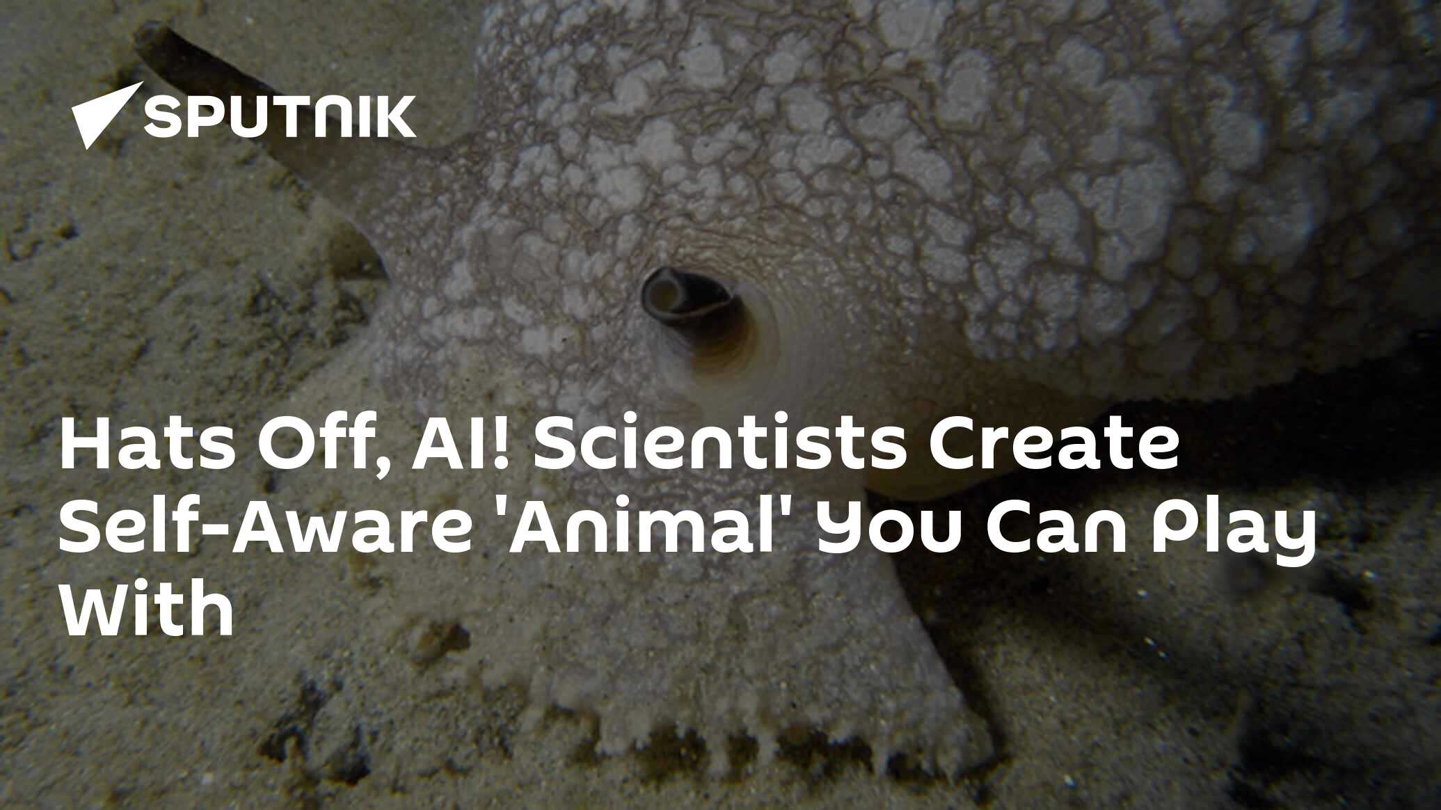 Hats Off, AI! Scientists Create Self-Aware 'Animal' You Can Play With ...