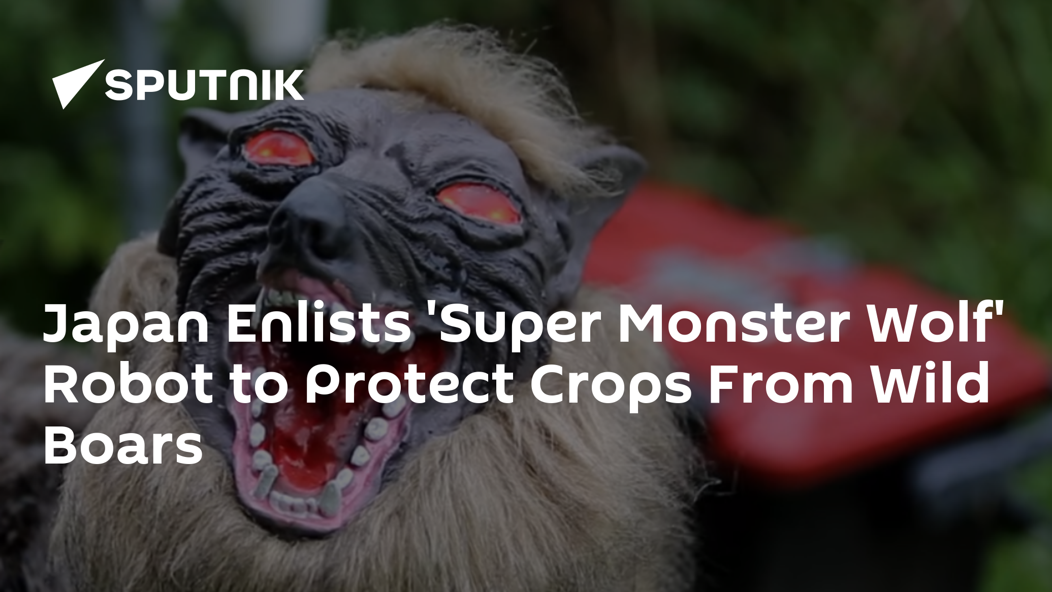 Japan Enlists 'Super Monster Wolf' Robot to Protect Crops From Wild ...