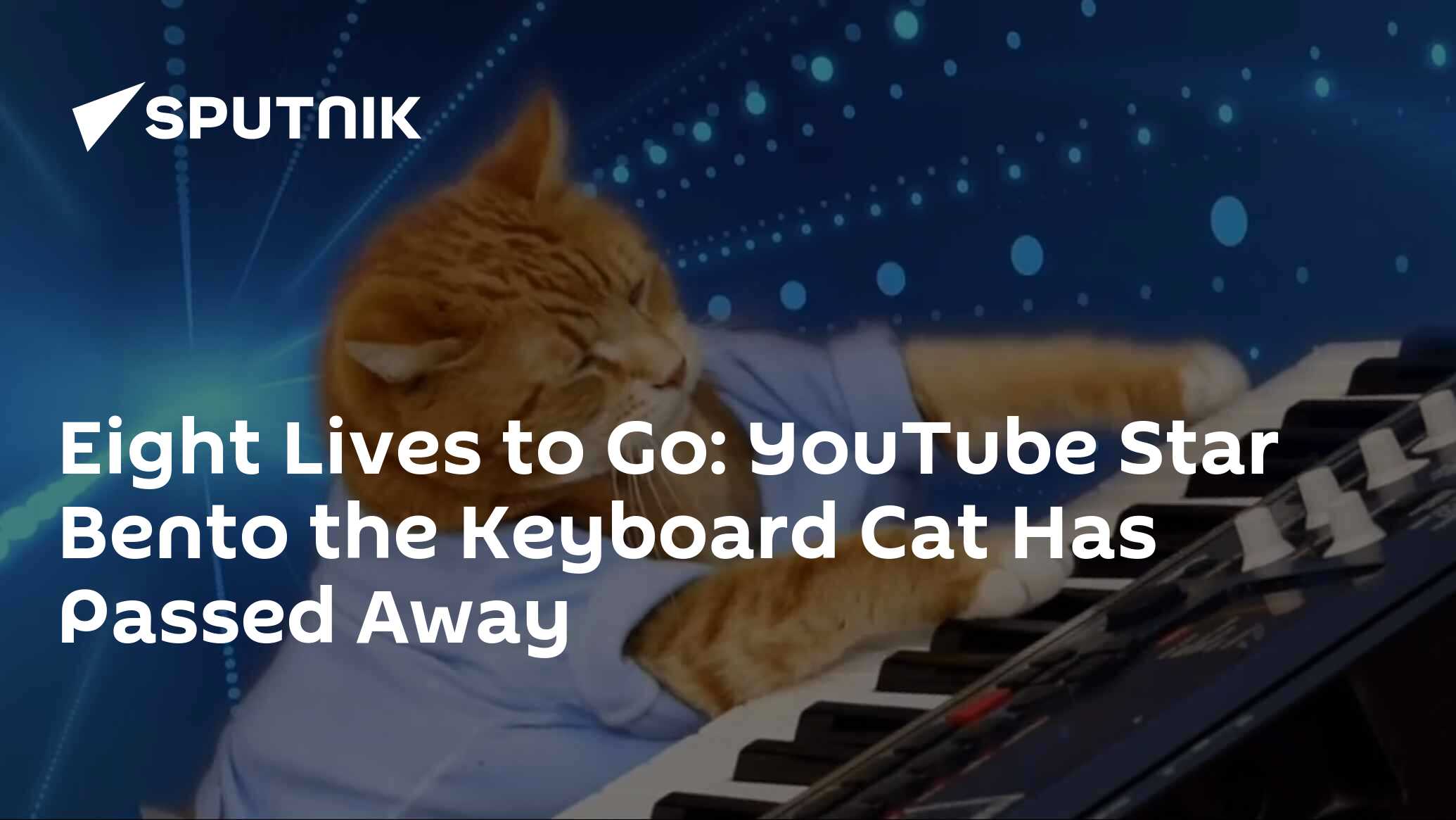 Eight Lives to Go: YouTube Star Bento the Keyboard Cat Has Passed Away ...