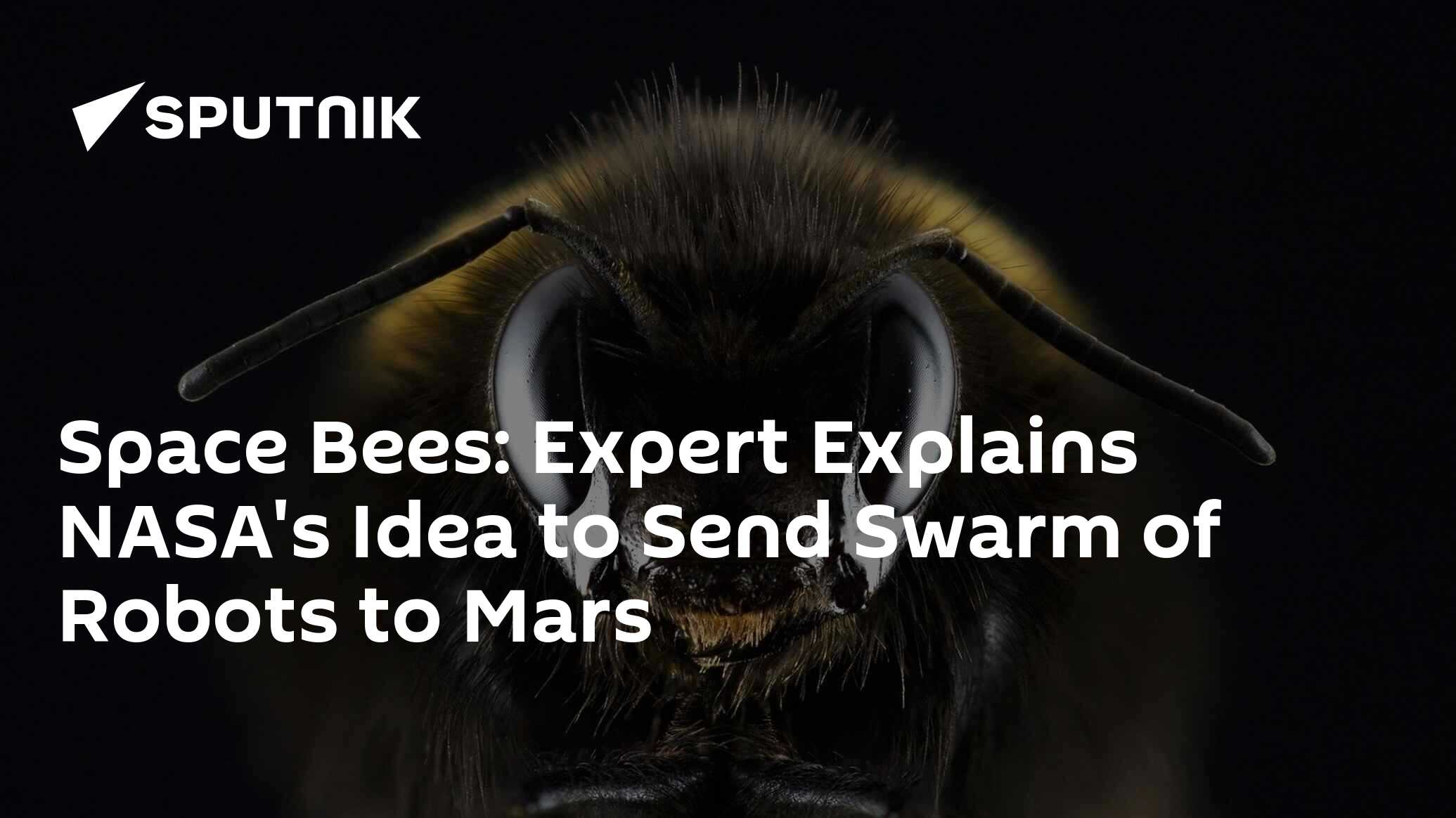 Space Bees: Expert Explains NASA's Idea to Send Swarm of Robots to Mars ...