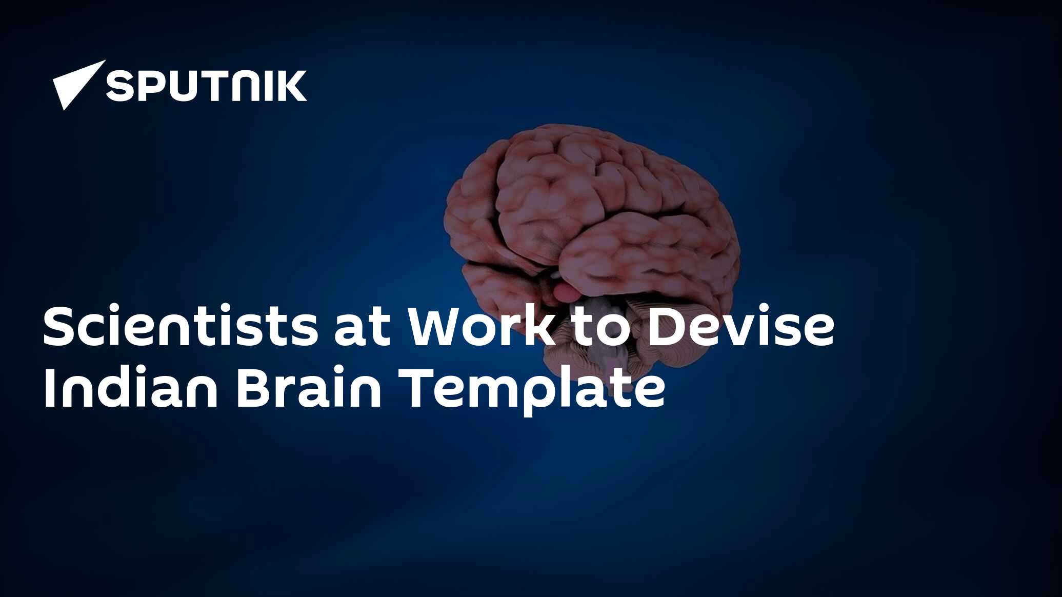 Scientists at Work to Devise Indian Brain Template - 06.04.2018 ...