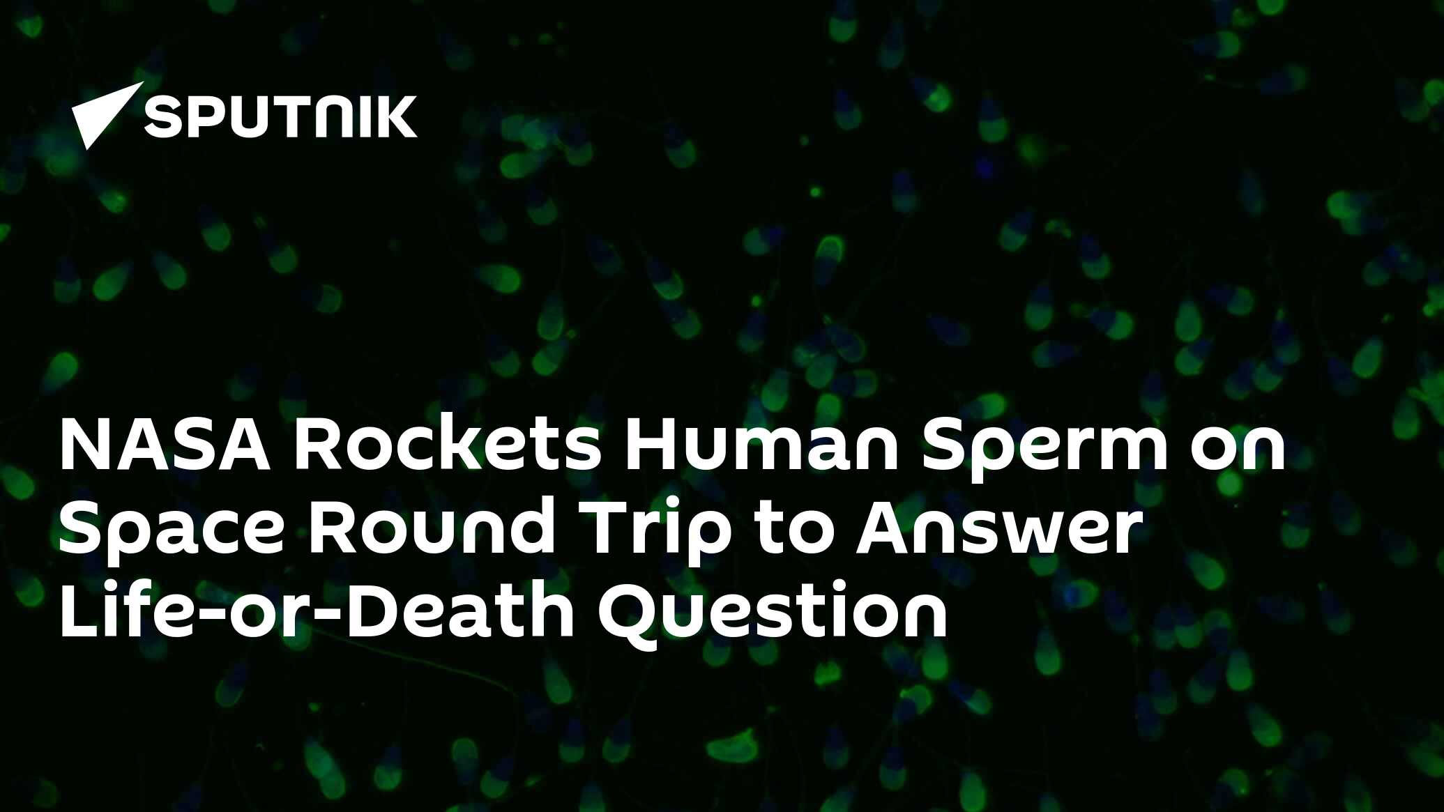 NASA Rockets Human Sperm on Space Round Trip to Answer Life-or-Death ...
