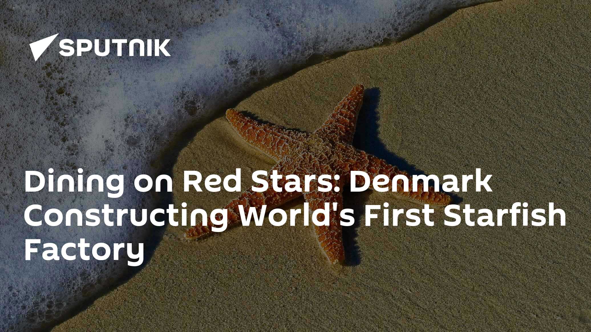 Dining on Red Stars: Denmark Constructing World's First Starfish ...