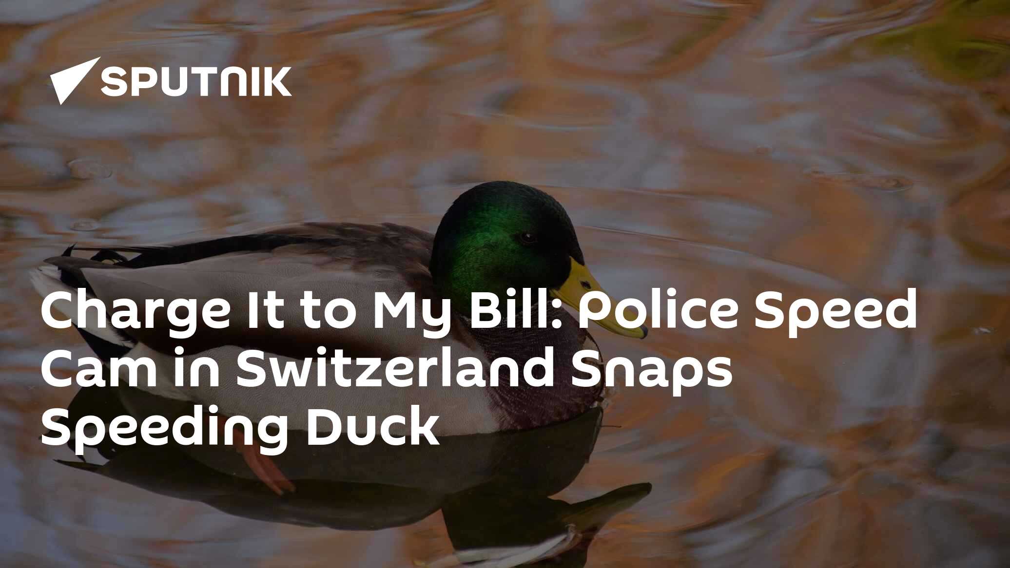 Charge It to My Bill: Police Speed Cam in Switzerland Snaps Speeding ...