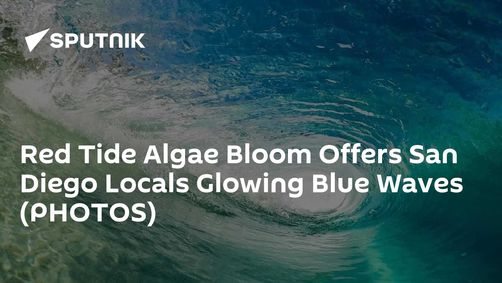 Red Tide Algae Bloom Offers San Diego Locals Glowing Blue Waves (PHOTOS ...