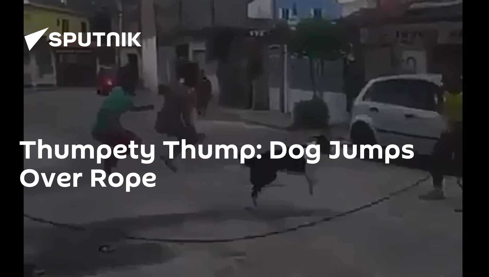 Thumpety Thump: Dog Jumps Over Rope - 01.07.2018, Sputnik International