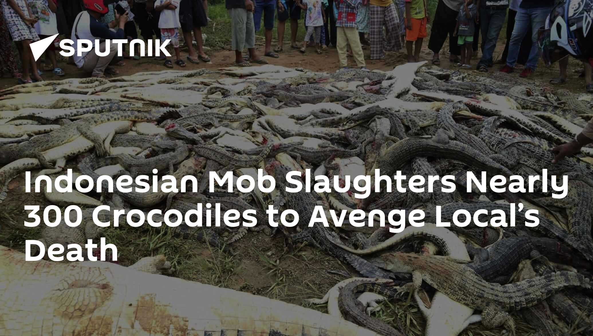Indonesian Mob Slaughters Nearly 300 Crocodiles to Avenge Local’s Death ...