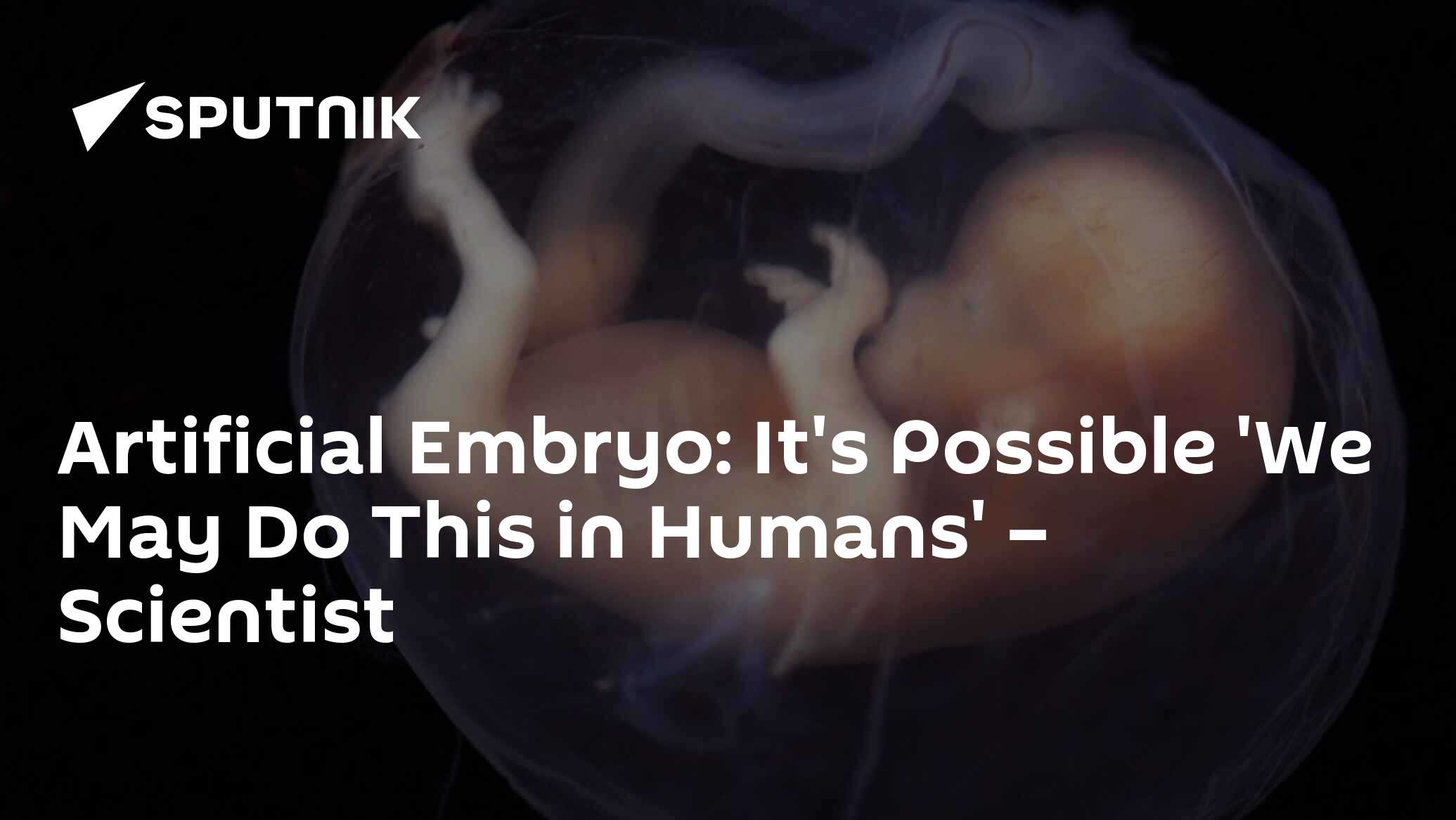 Artificial Embryo: It's Possible 'We May Do This in Humans' – Scientist ...