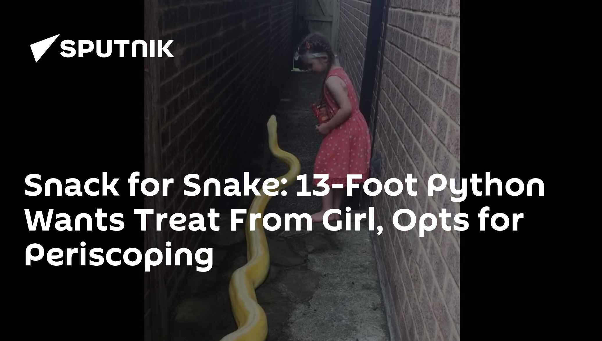 Snack for Snake: 13-Foot Python Wants Treat From Girl, Opts for ...