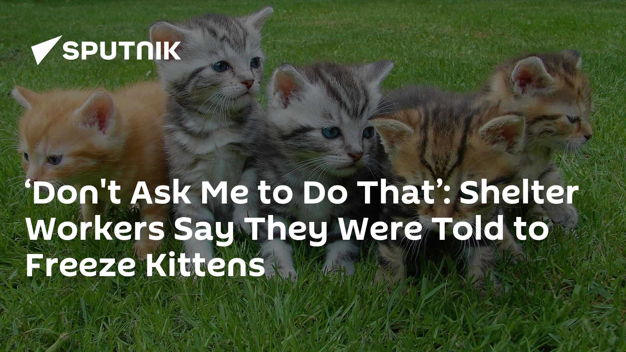 ‘Don't Ask Me to Do That’: Shelter Workers Say They Were Told to Freeze ...