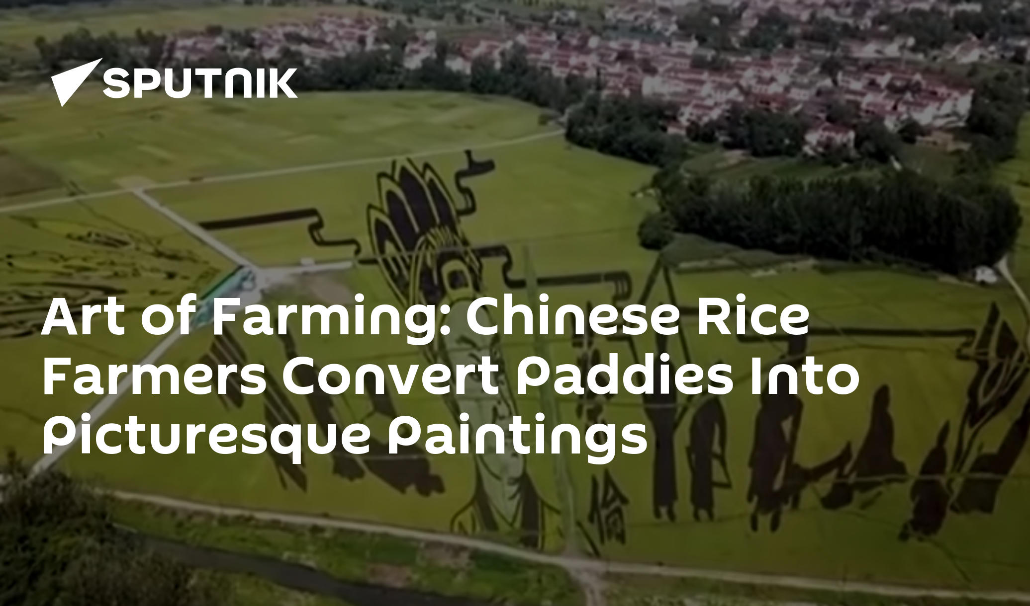 Art of Farming: Chinese Rice Farmers Convert Paddies Into Picturesque ...