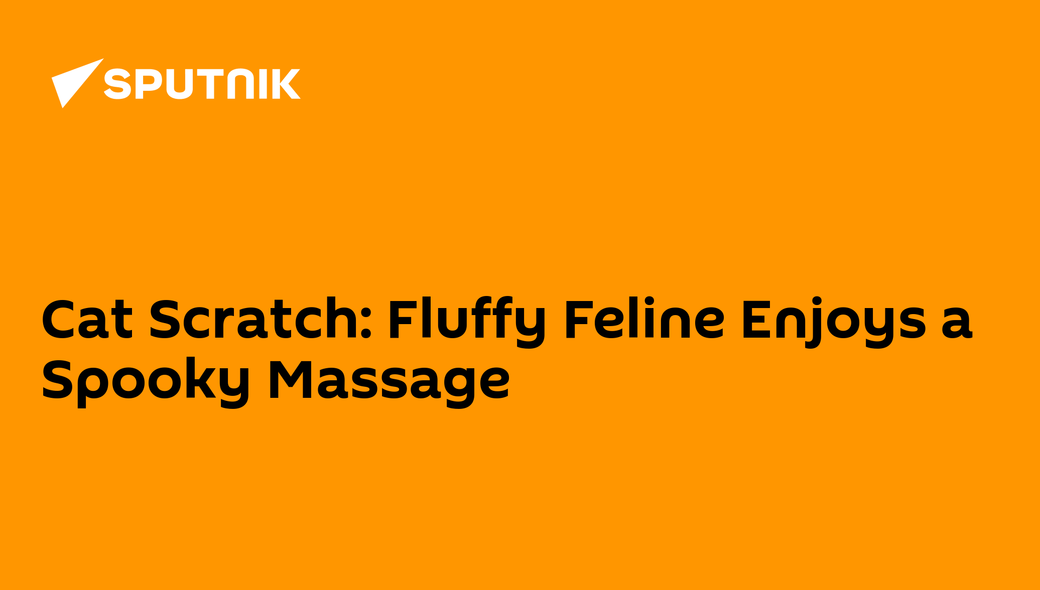 Cat Scratch: Fluffy Feline Enjoys a Spooky Massage - 03.10.2018 ...