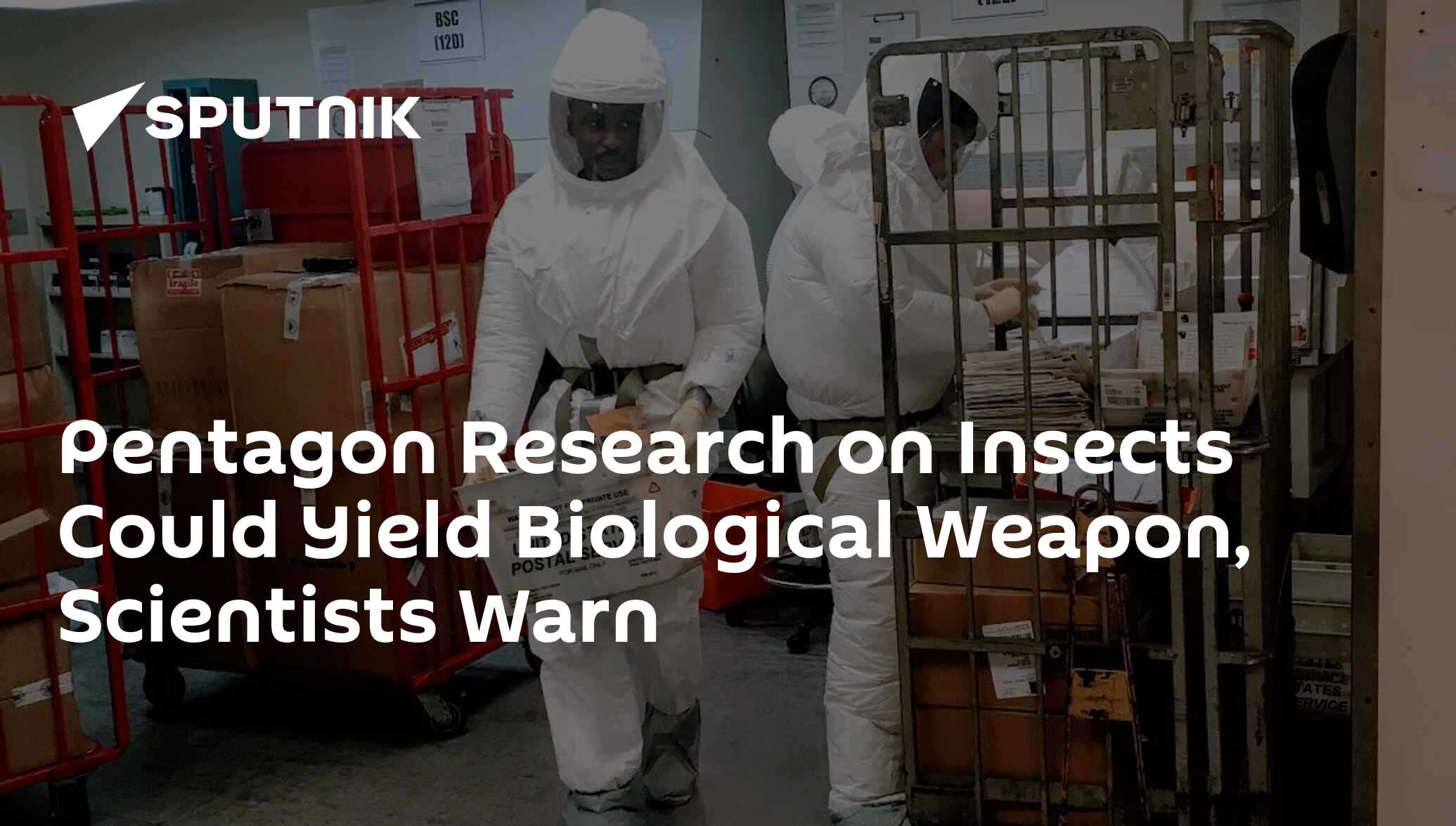 Pentagon Research on Insects Could Yield Biological Weapon, Scientists ...