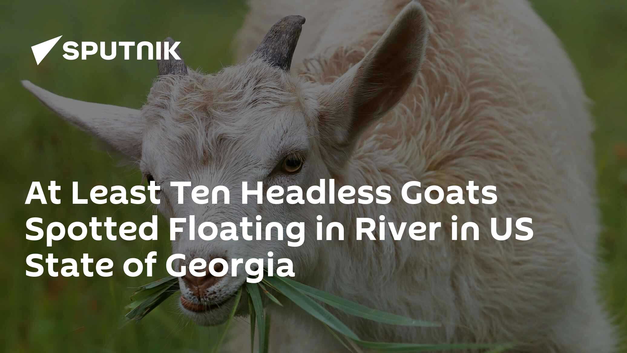 At Least Ten Headless Goats Spotted Floating in River in US State of ...