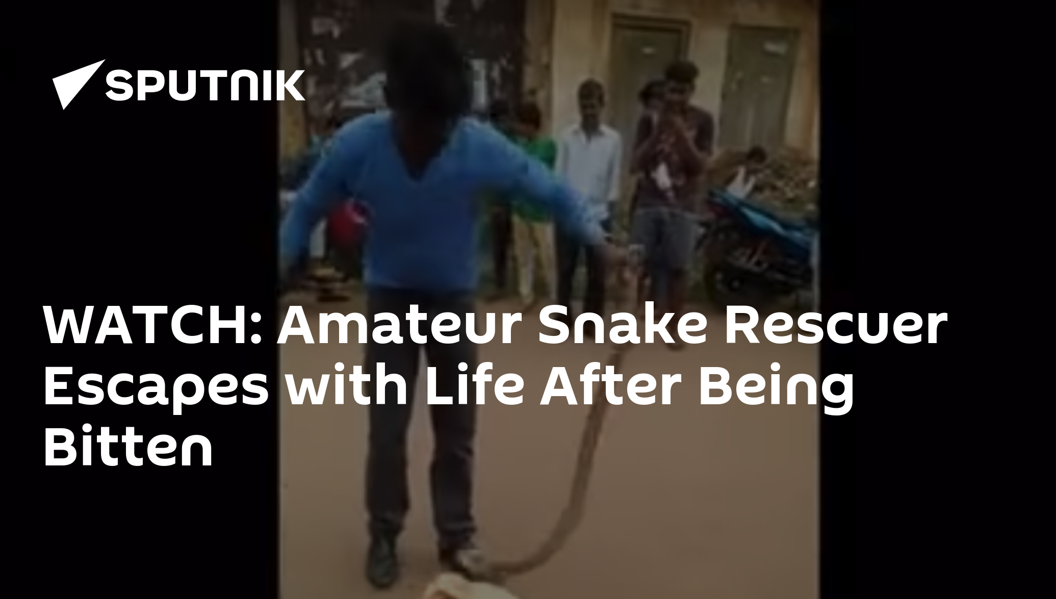 WATCH: Amateur Snake Rescuer Escapes with Life After Being Bitten - 11. ...
