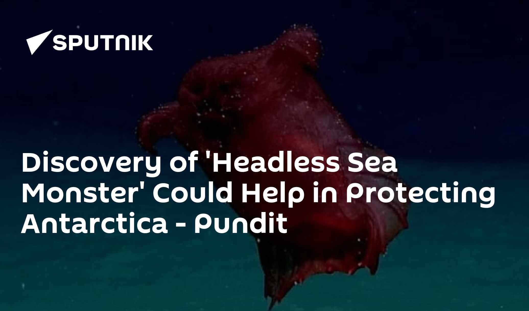 Discovery of 'Headless Sea Monster' Could Help in Protecting Antarctica ...