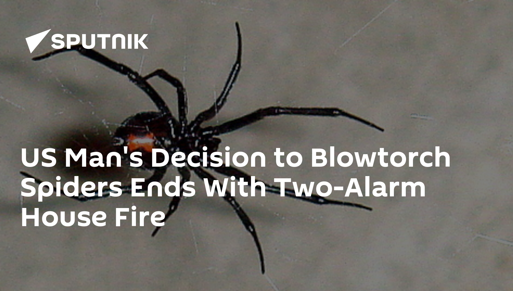 US Man's Decision to Blowtorch Spiders Ends With Two-Alarm House Fire ...