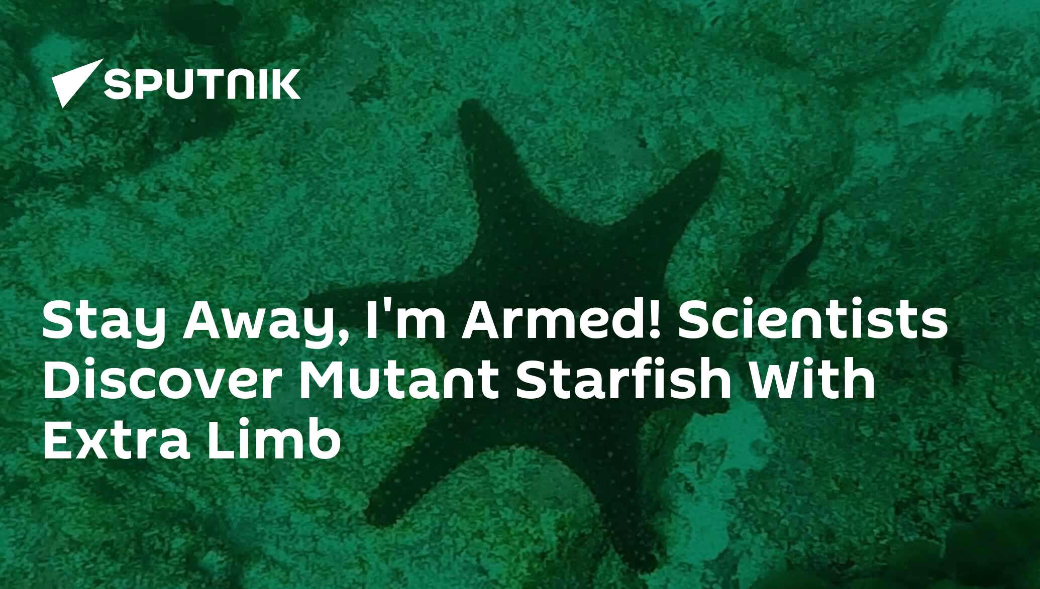 Stay Away, I'm Armed! Scientists Discover Mutant Starfish With Extra ...