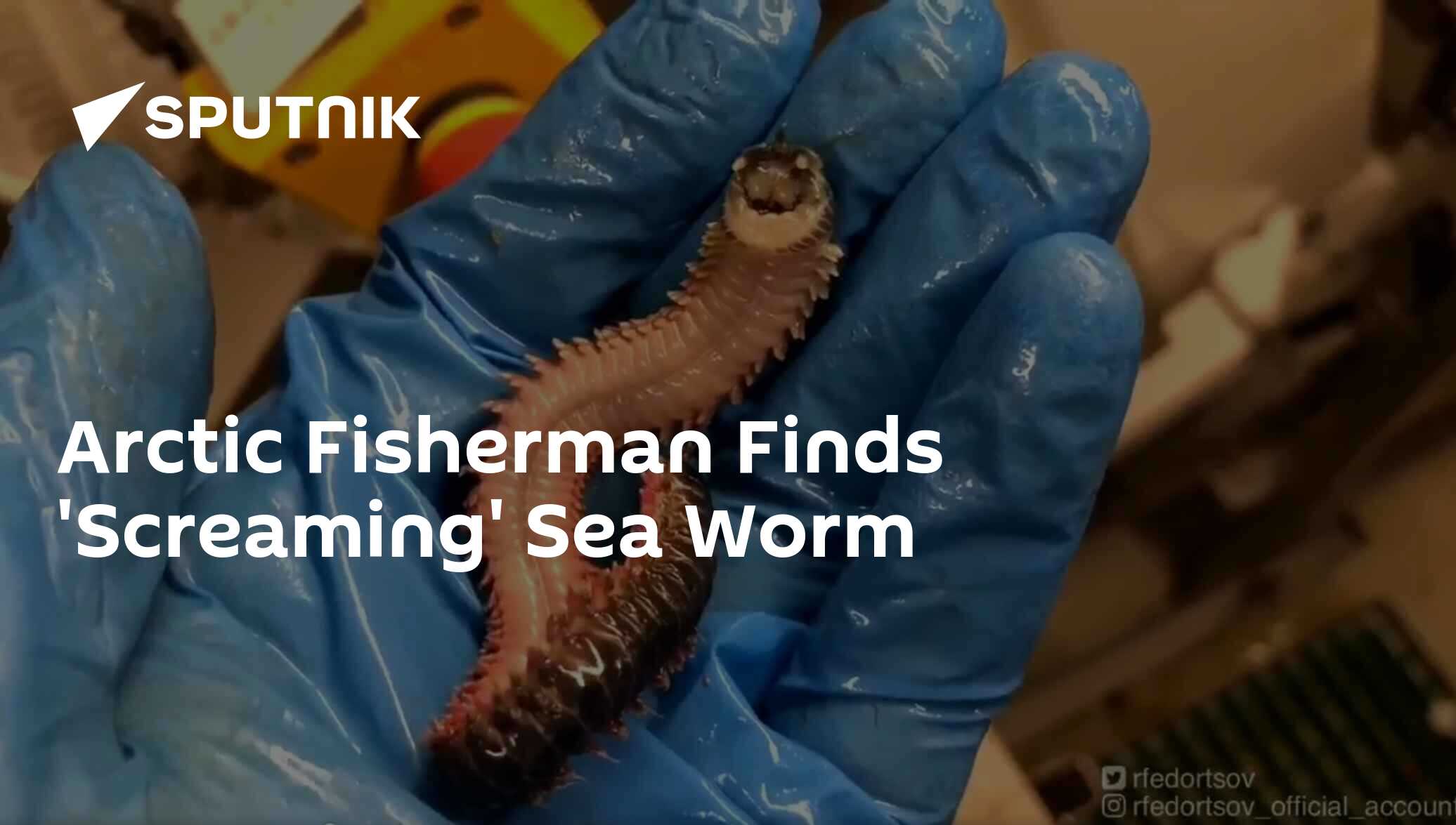 Arctic Fisherman Finds 'Screaming' Sea Worm - 24.11.2018, Sputnik ...