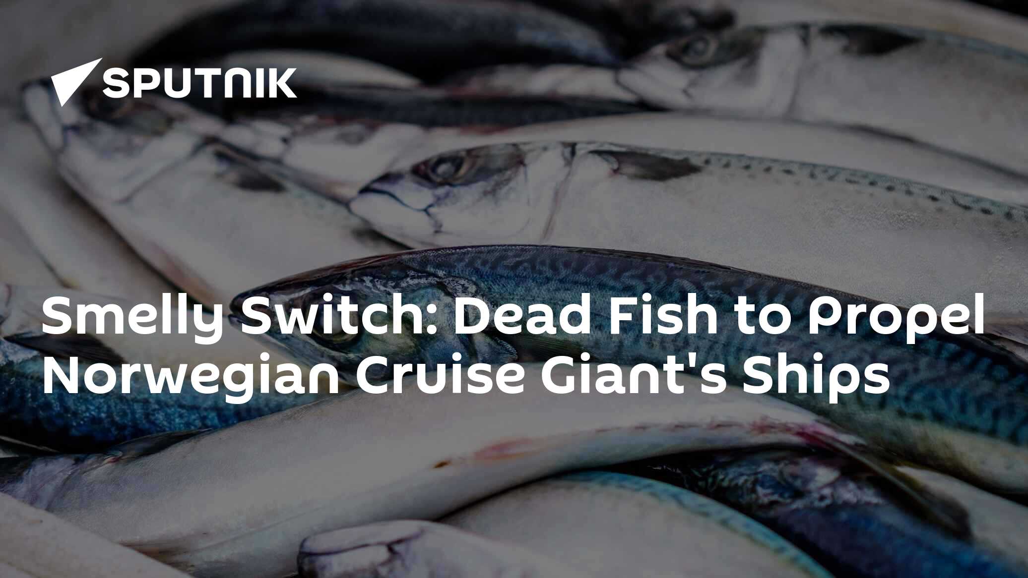 Smelly Switch: Dead Fish to Propel Norwegian Cruise Giant's Ships - 27. ...