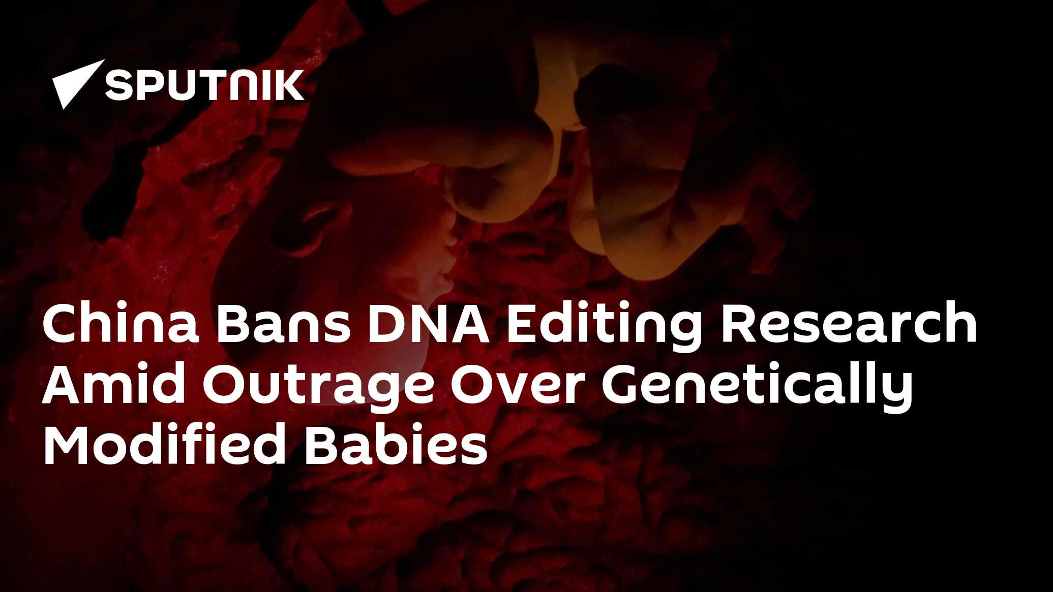 China Bans DNA Editing Research Amid Outrage Over Genetically Modified ...