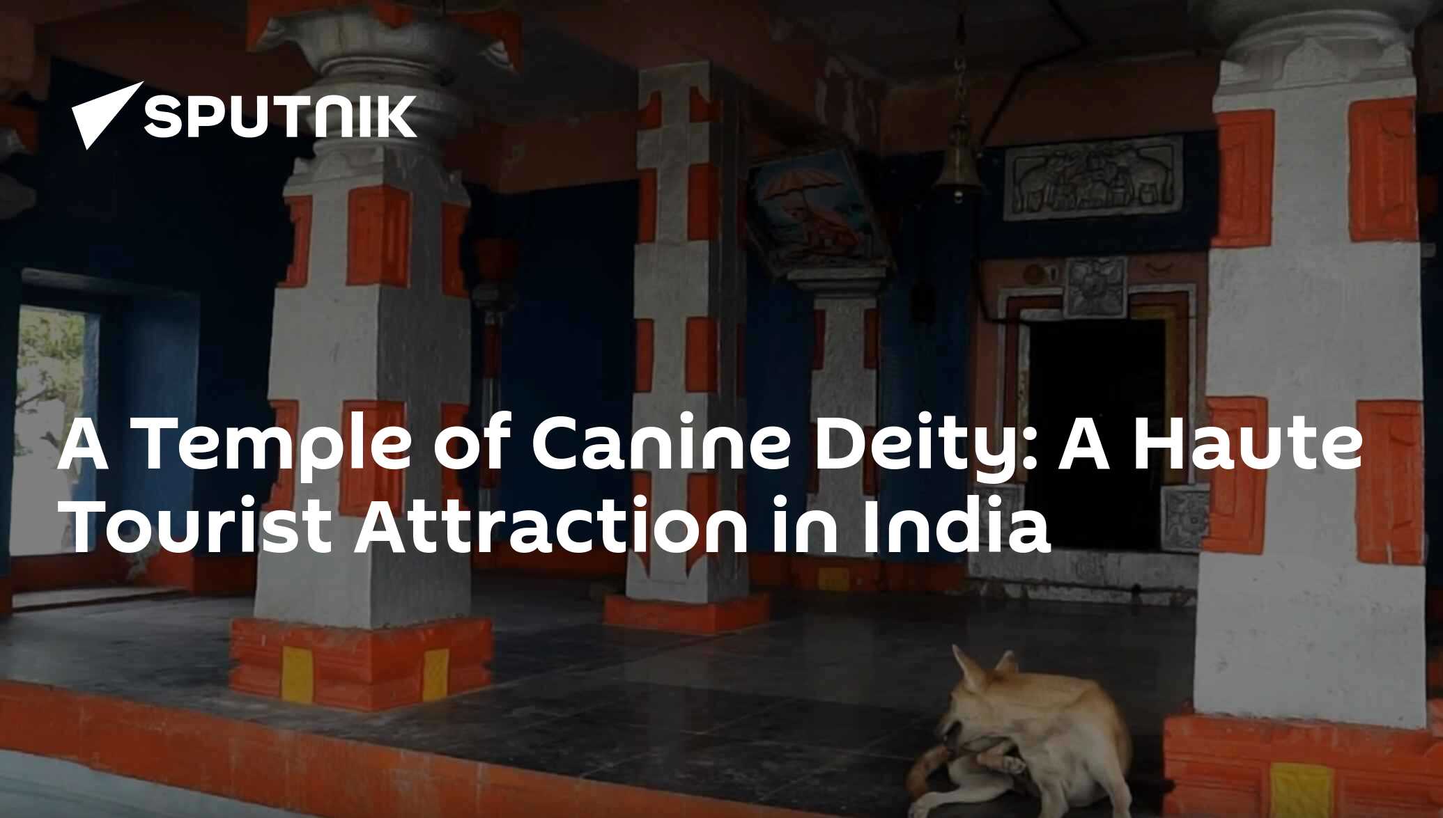 A Temple of Canine Deity: A Haute Tourist Attraction in India - 18.12. ...