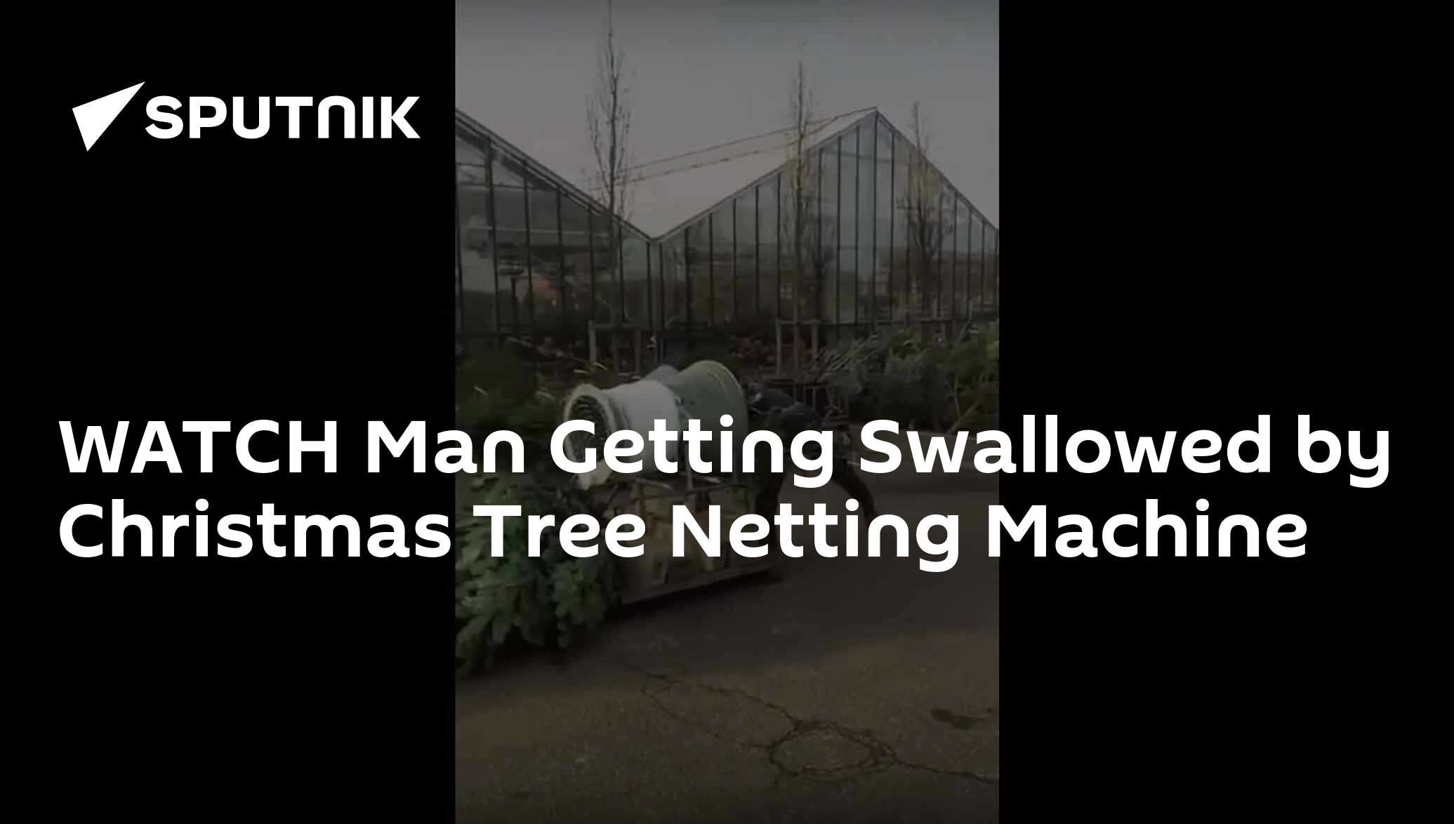 WATCH Man Getting Swallowed by Christmas Tree Netting Machine - 18.12. ...