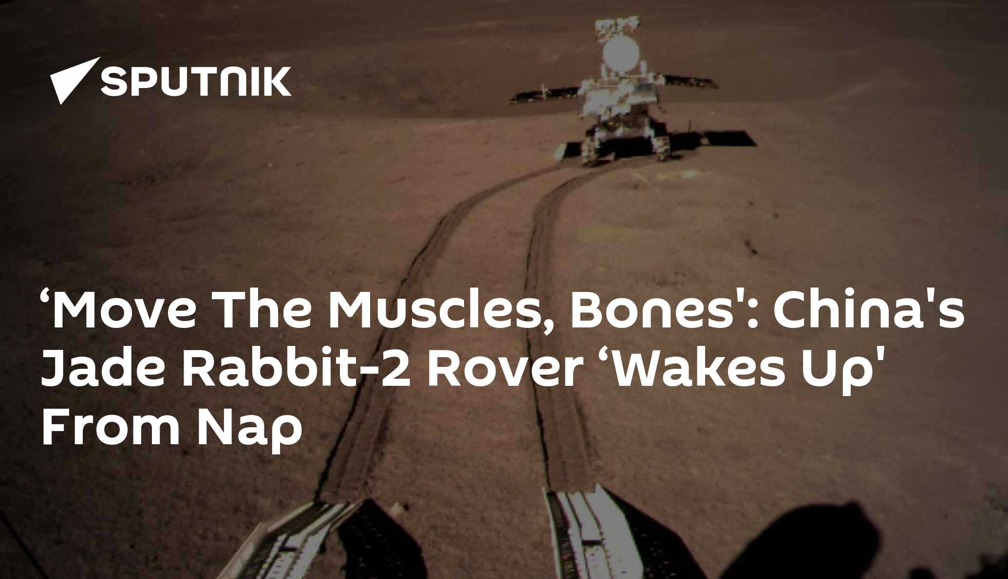 ‘Move The Muscles, Bones': China's Jade Rabbit-2 Rover ‘Wakes Up' From ...