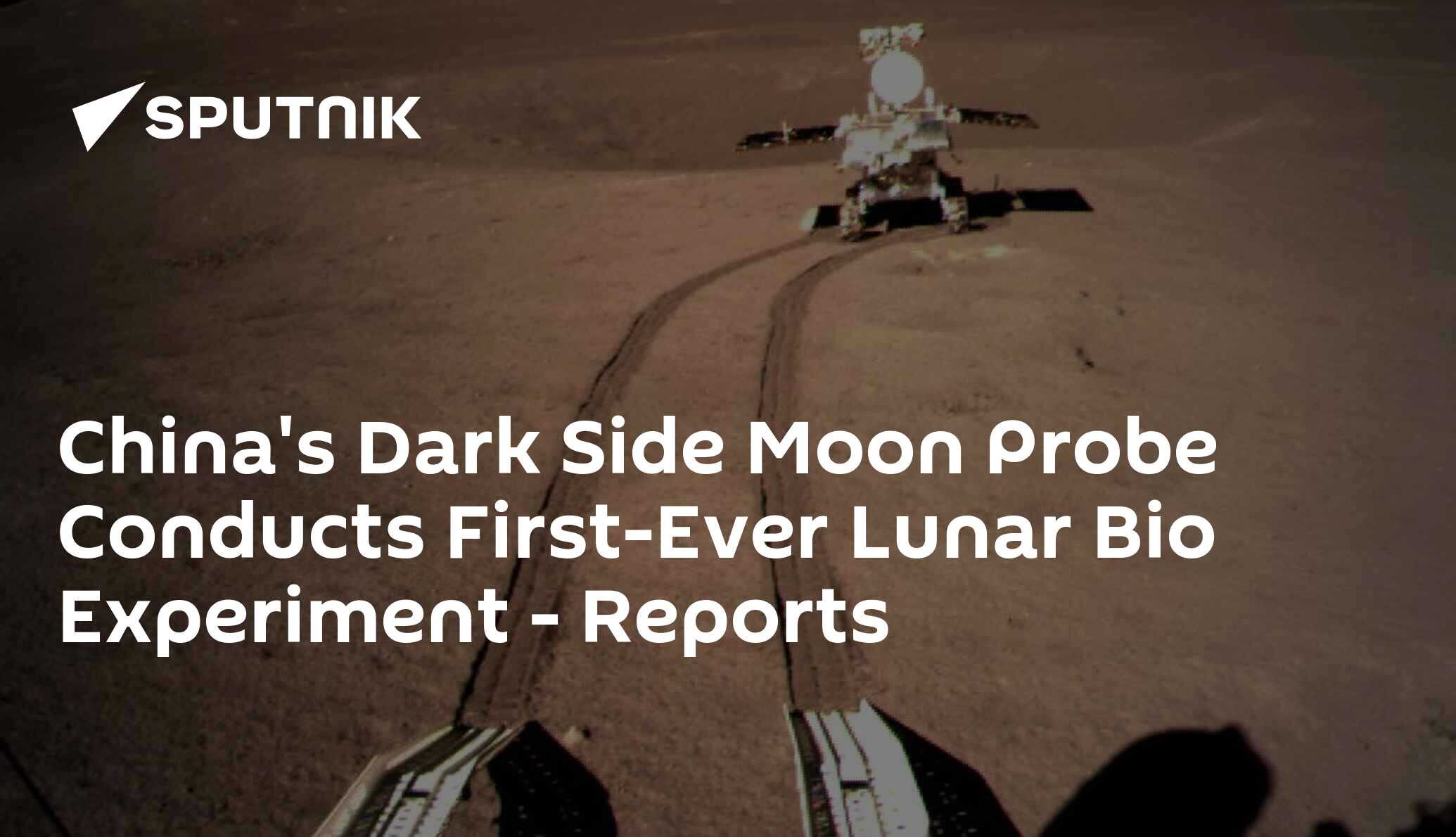 China's Dark Side Moon Probe Conducts First-Ever Lunar Bio Experiment ...