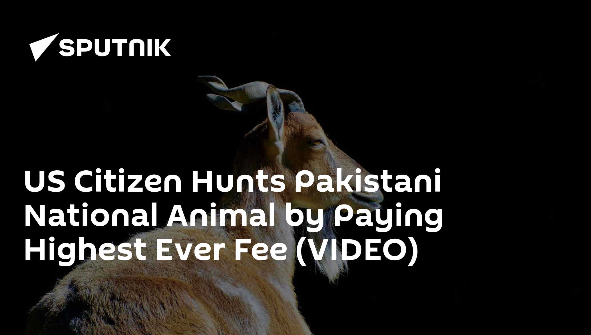 US Citizen Hunts Pakistani National Animal by Paying Highest Ever Fee ...