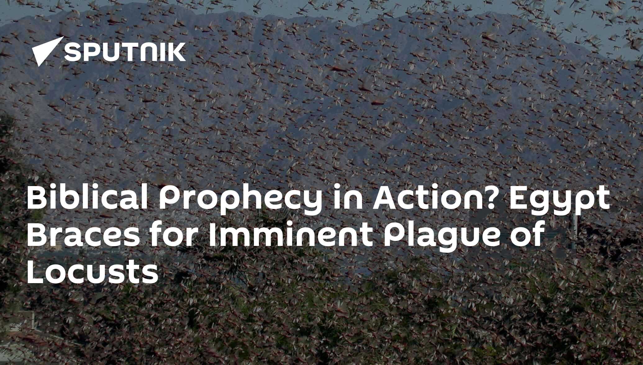 Biblical Prophecy in Action? Egypt Braces for Imminent Plague of ...