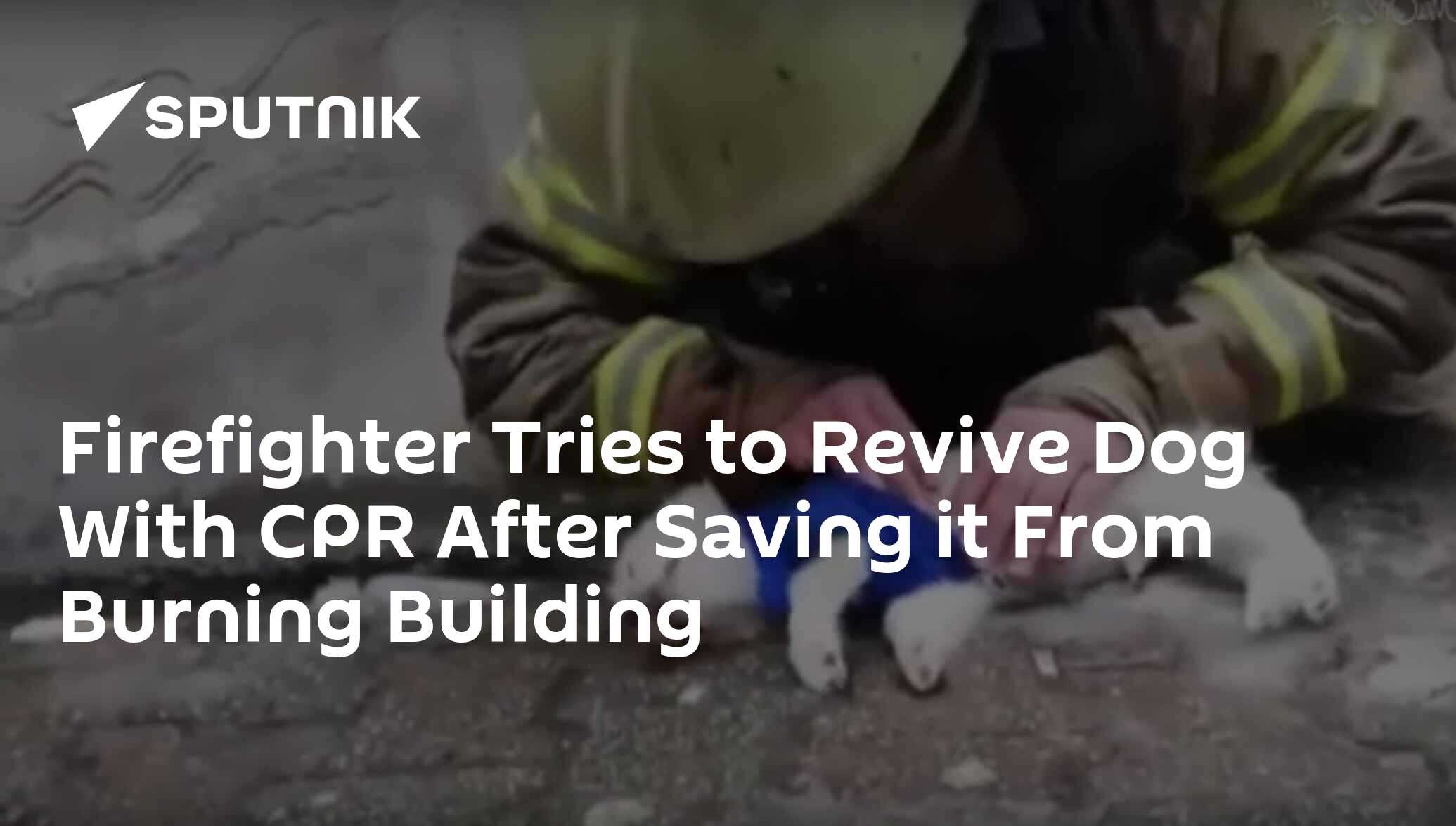 Firefighter Tries to Revive Dog With CPR After Saving it From Burning ...