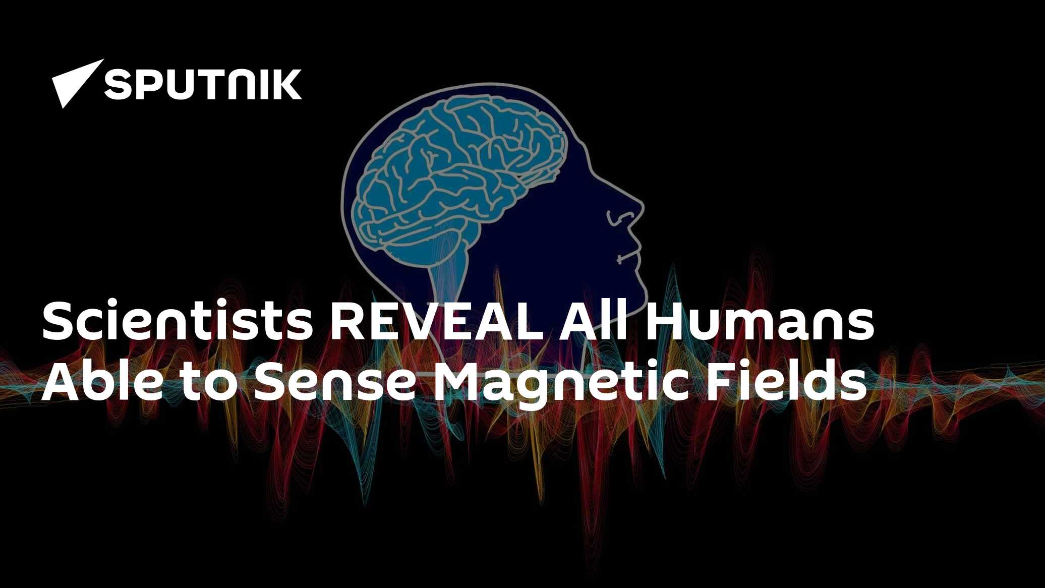 Scientists REVEAL All Humans Able to Sense Magnetic Fields - 20.03.2019 ...