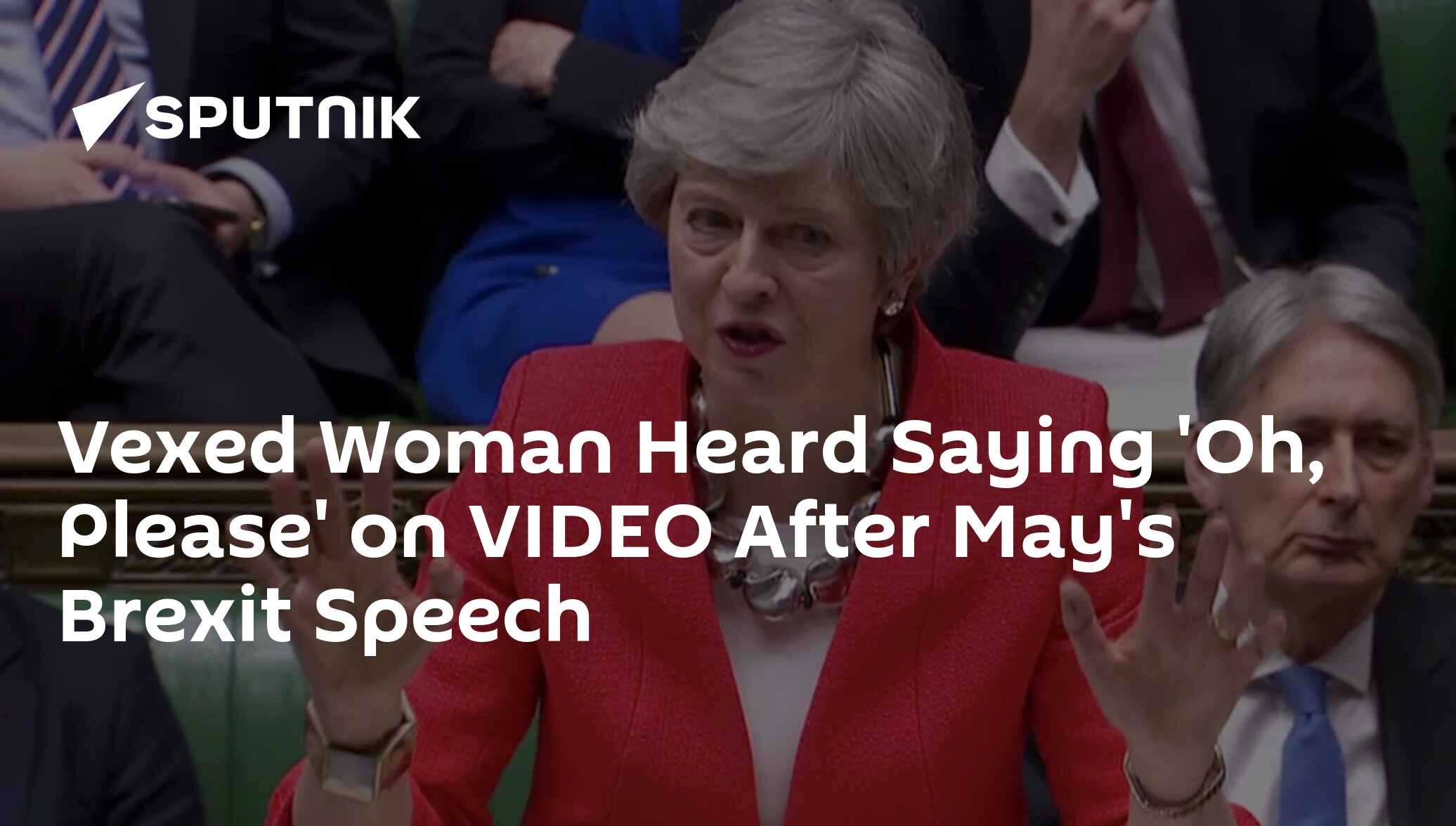 Vexed Woman Heard Saying 'Oh, Please' on VIDEO After May's Brexit ...