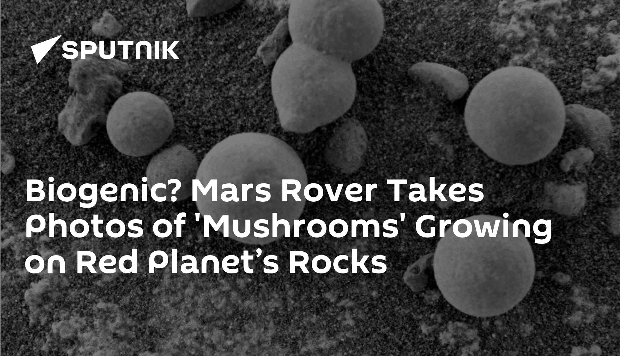 Biogenic? Mars Rover Takes Photos of 'Mushrooms' Growing on Red Planet ...