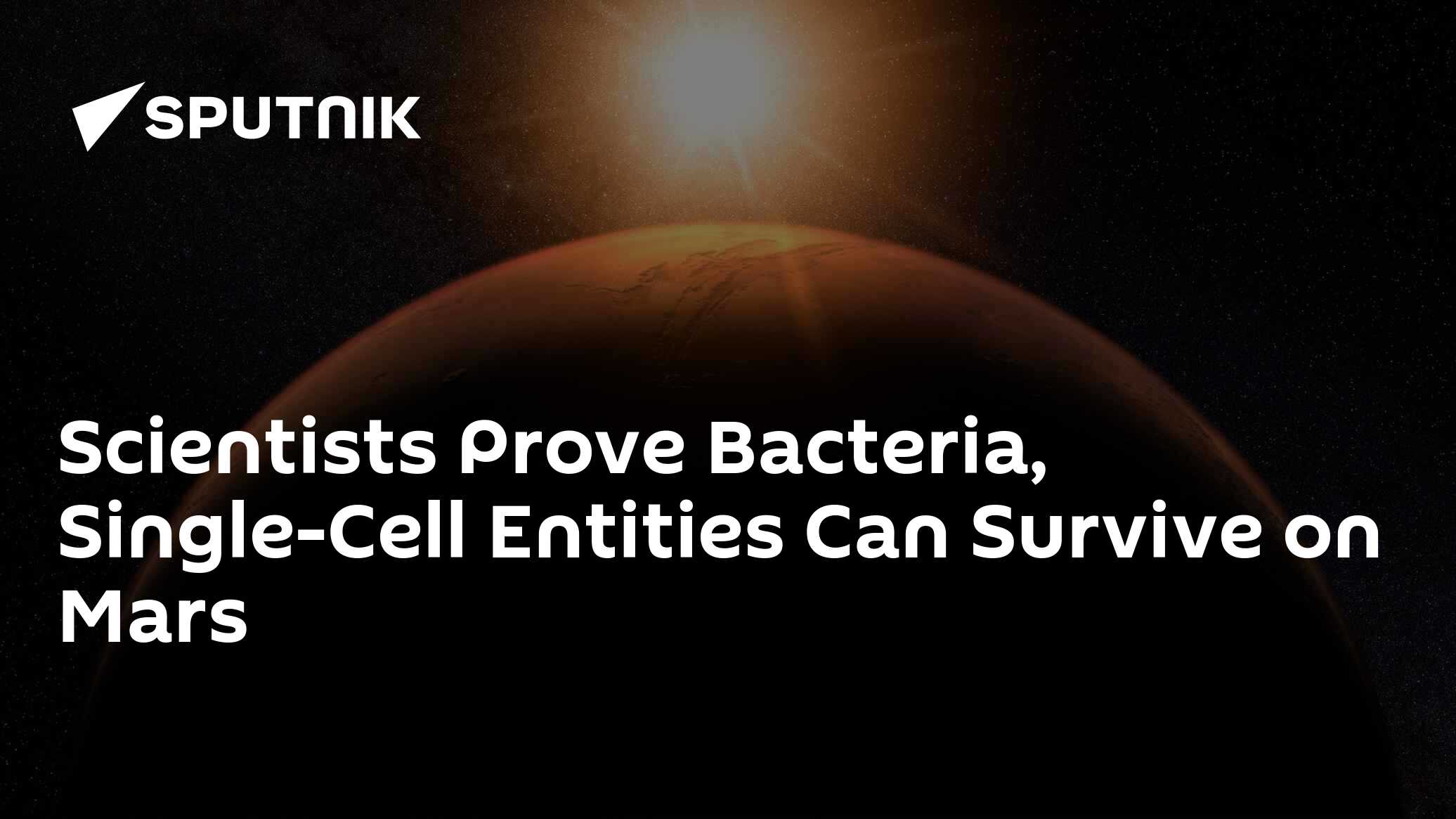 Scientists Prove Bacteria, Single-Cell Entities Can Survive on Mars ...