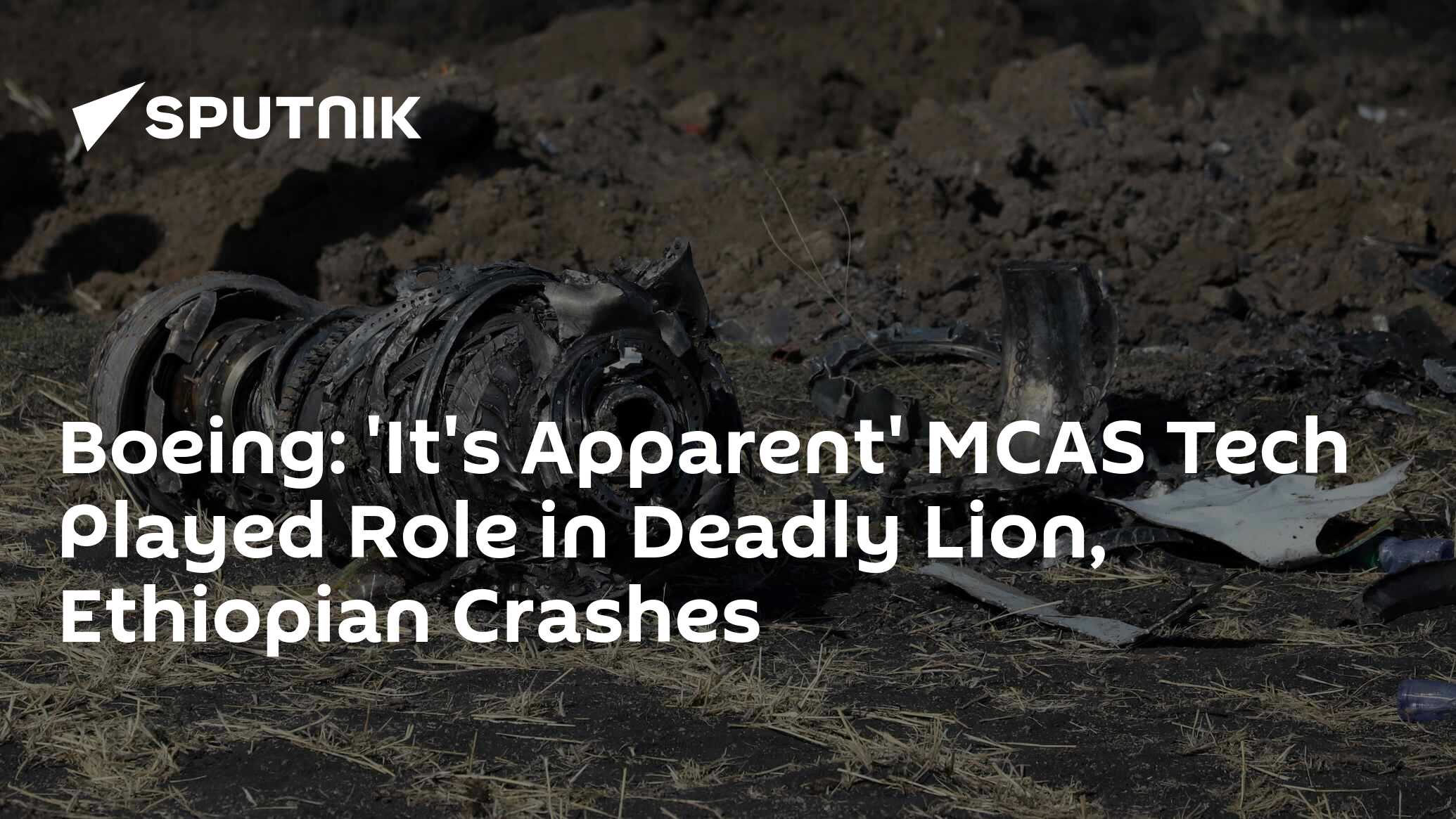 Boeing: 'It's Apparent' MCAS Tech Played Role in Deadly Lion, Ethiopian ...