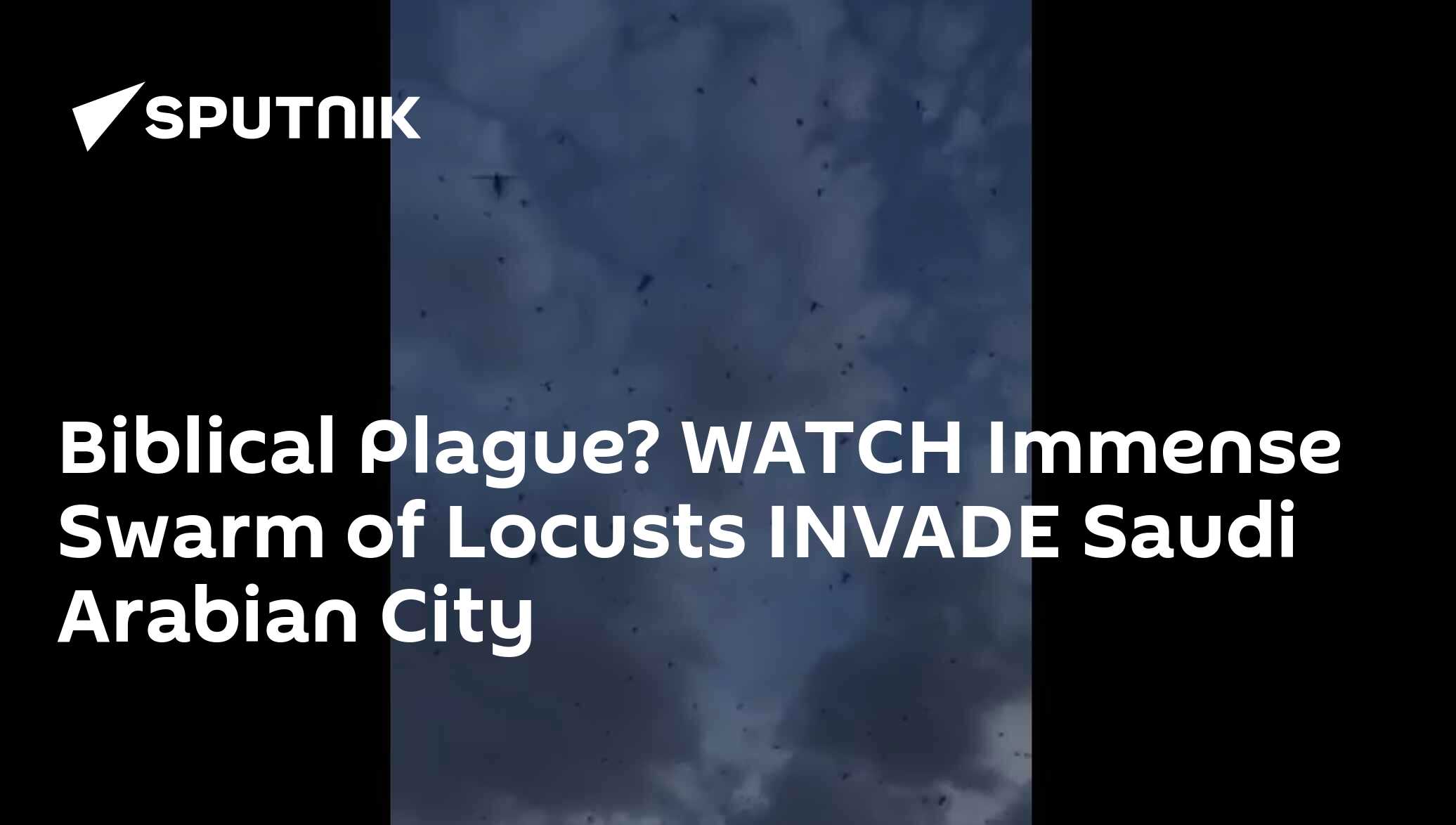 Biblical Plague? WATCH Immense Swarm of Locusts INVADE Saudi Arabian ...
