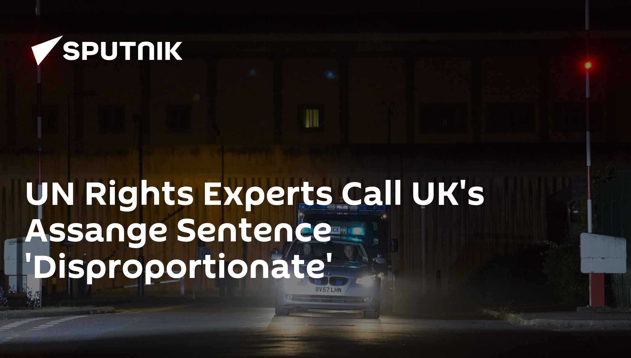 UN Rights Experts Call UK's Assange Sentence 'Disproportionate' - 03.05 ...