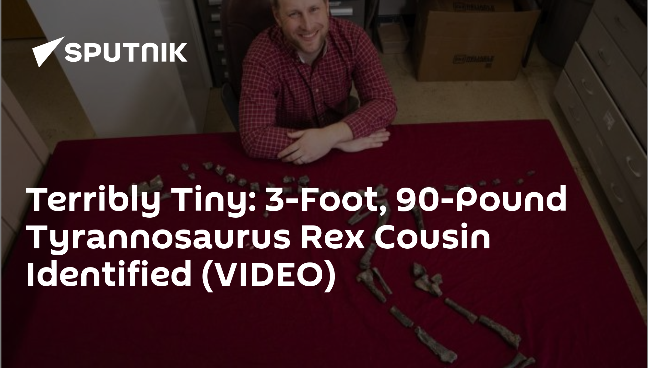 Terribly Tiny: 3-Foot, 90-Pound Tyrannosaurus Rex Cousin Identified ...