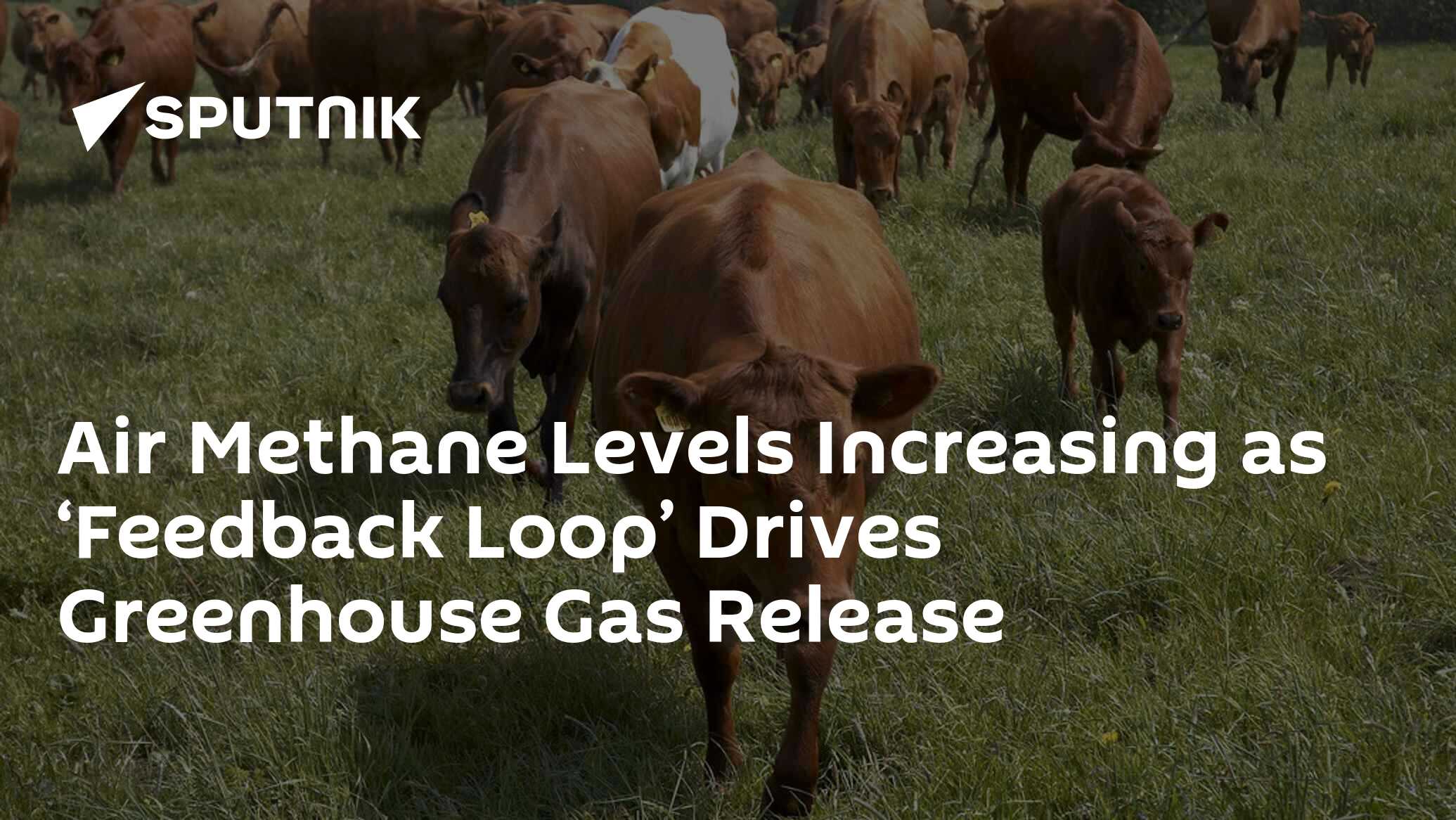 Air Methane Levels Increasing as ‘Feedback Loop’ Drives Greenhouse Gas ...