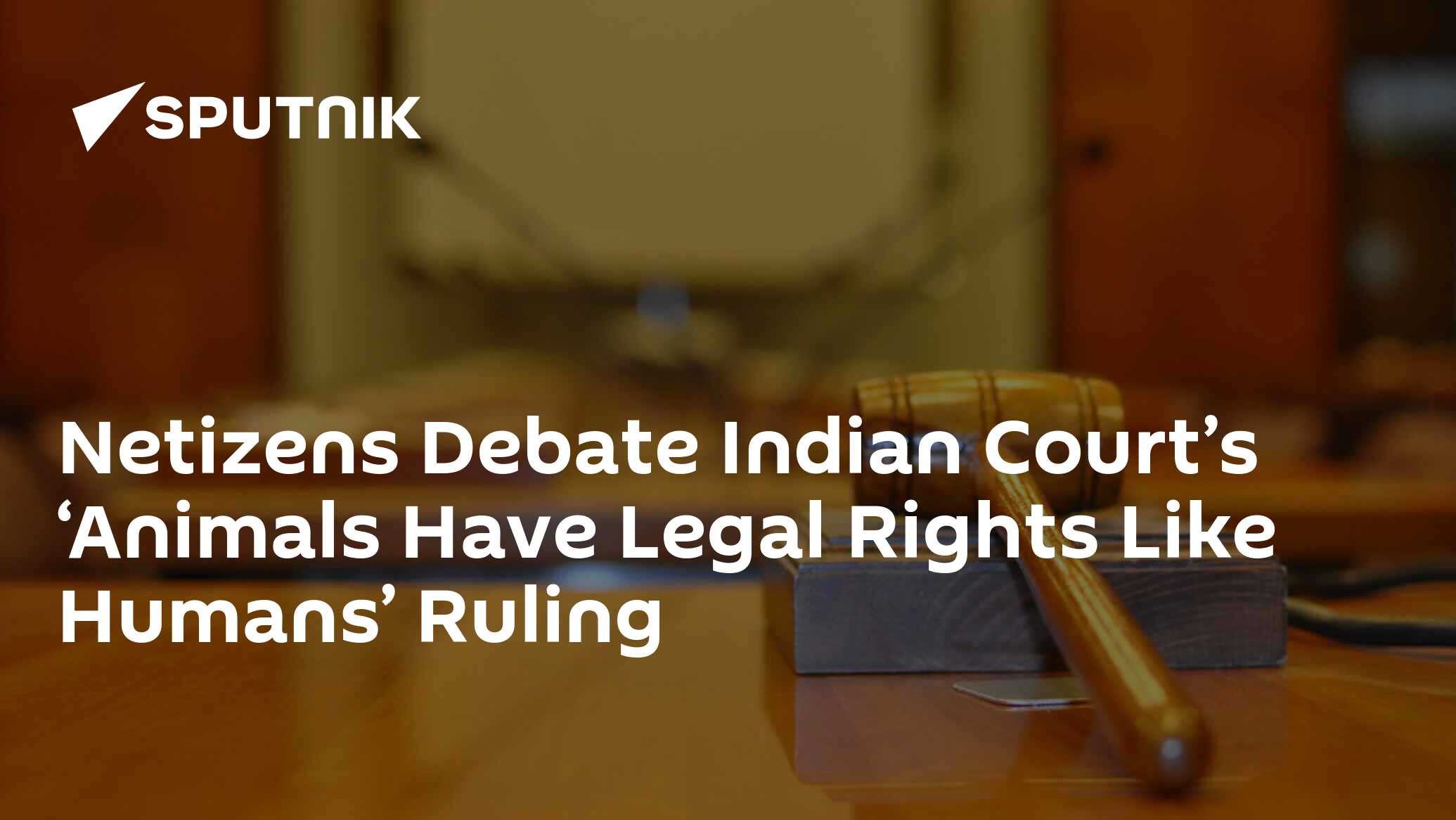 Netizens Debate Indian Court’s ‘Animals Have Legal Rights Like Humans ...