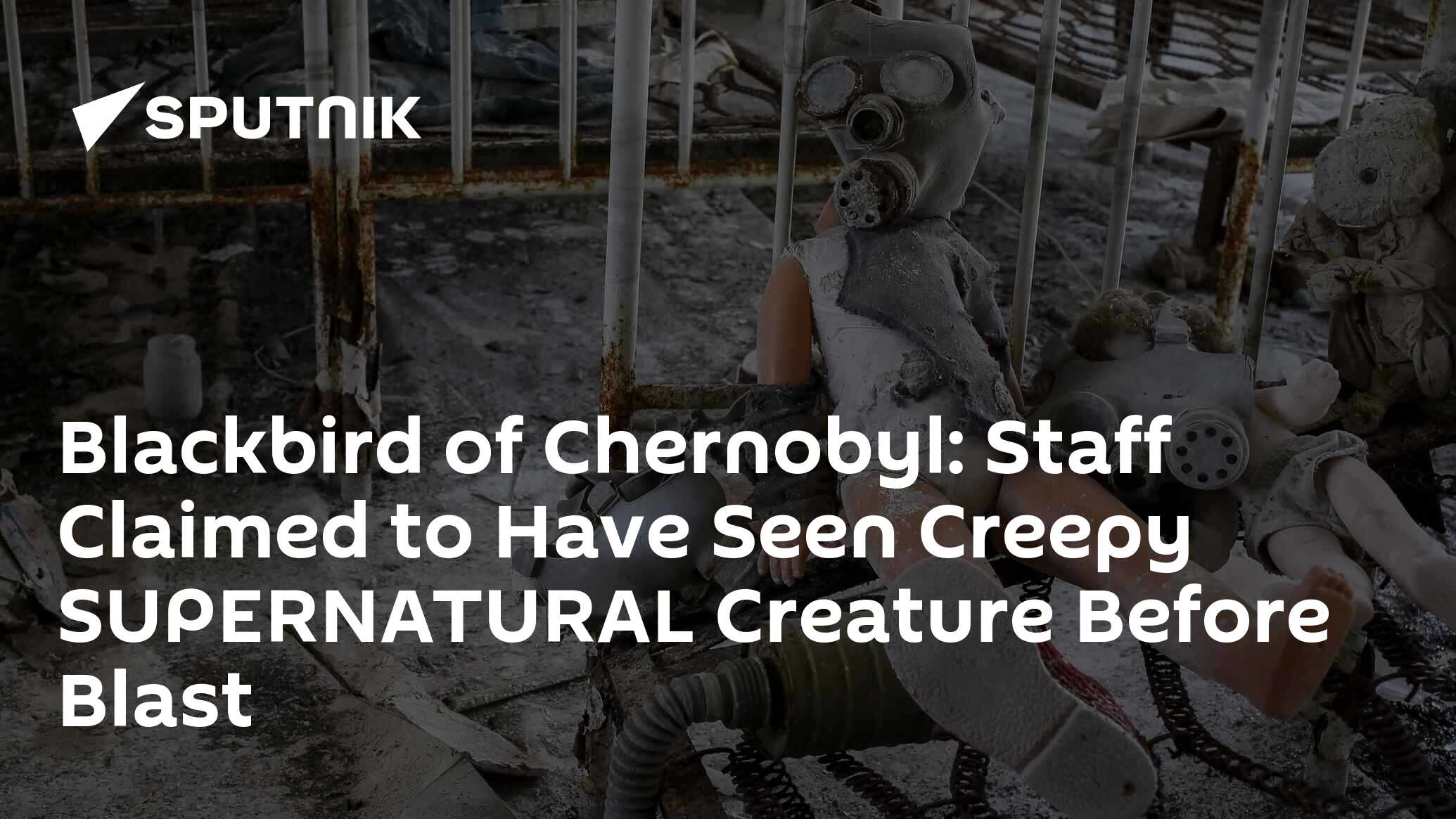 Blackbird of Chernobyl: Staff Claimed to Have Seen Creepy SUPERNATURAL ...