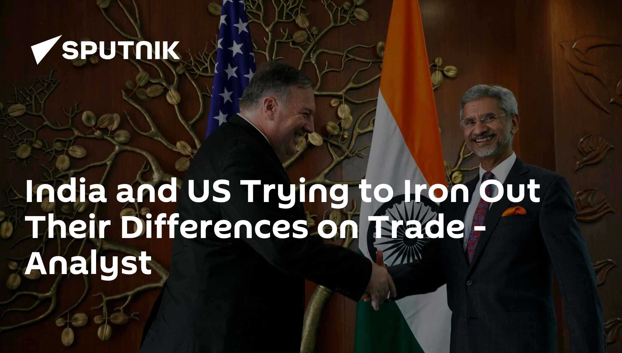 India and US Trying to Iron Out Their Differences on Trade - Analyst