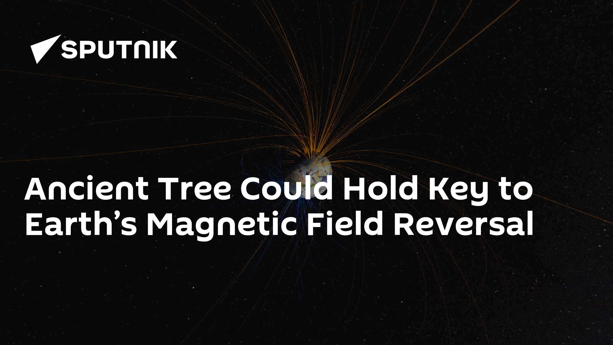 Ancient Tree Could Hold Key to Earth’s Magnetic Field Reversal - 06.07. ...