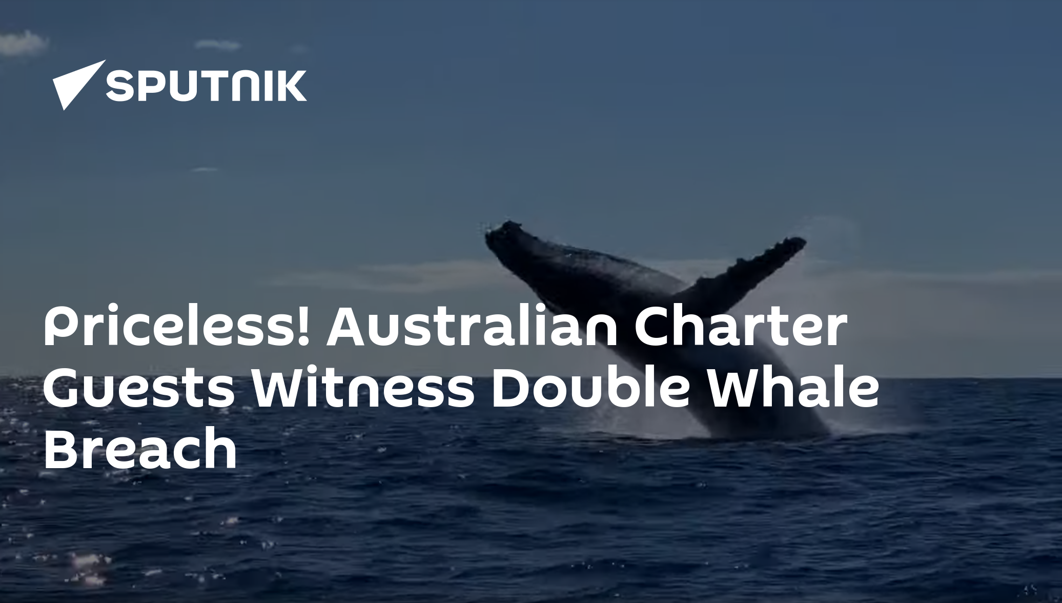 Priceless! Australian Charter Guests Witness Double Whale Breach - 15. ...