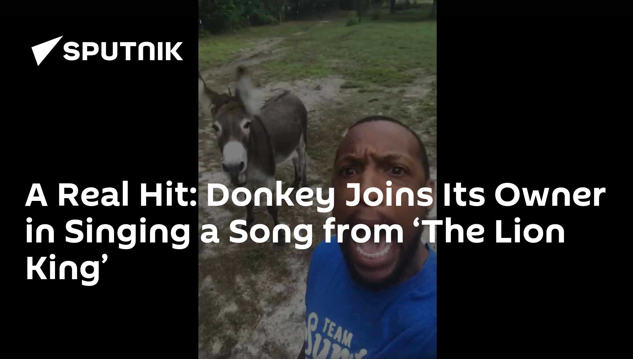 A Real Hit: Donkey Joins Its Owner in Singing a Song from ‘The Lion ...